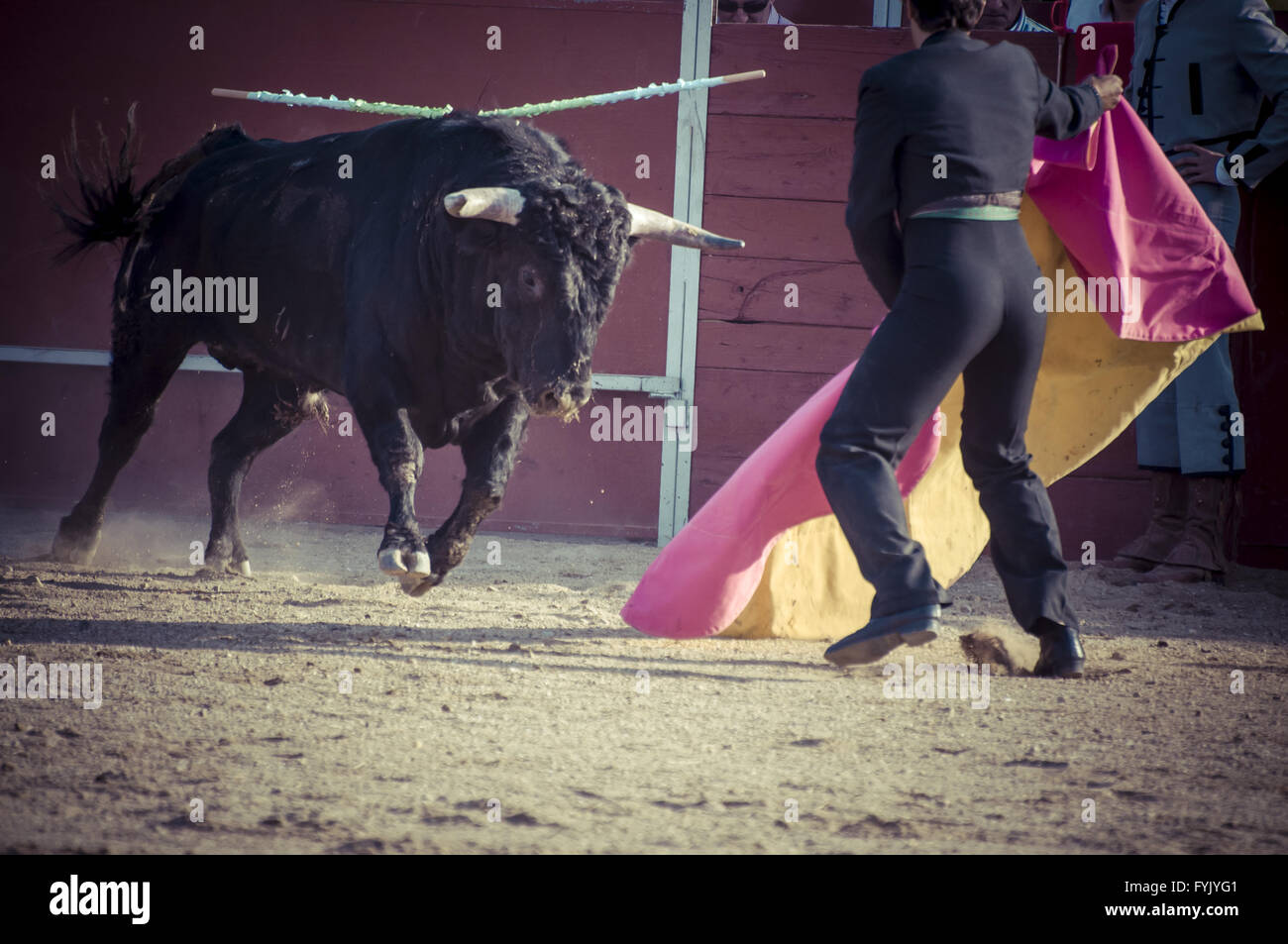 Dead person blood hi-res stock photography and images - Alamy