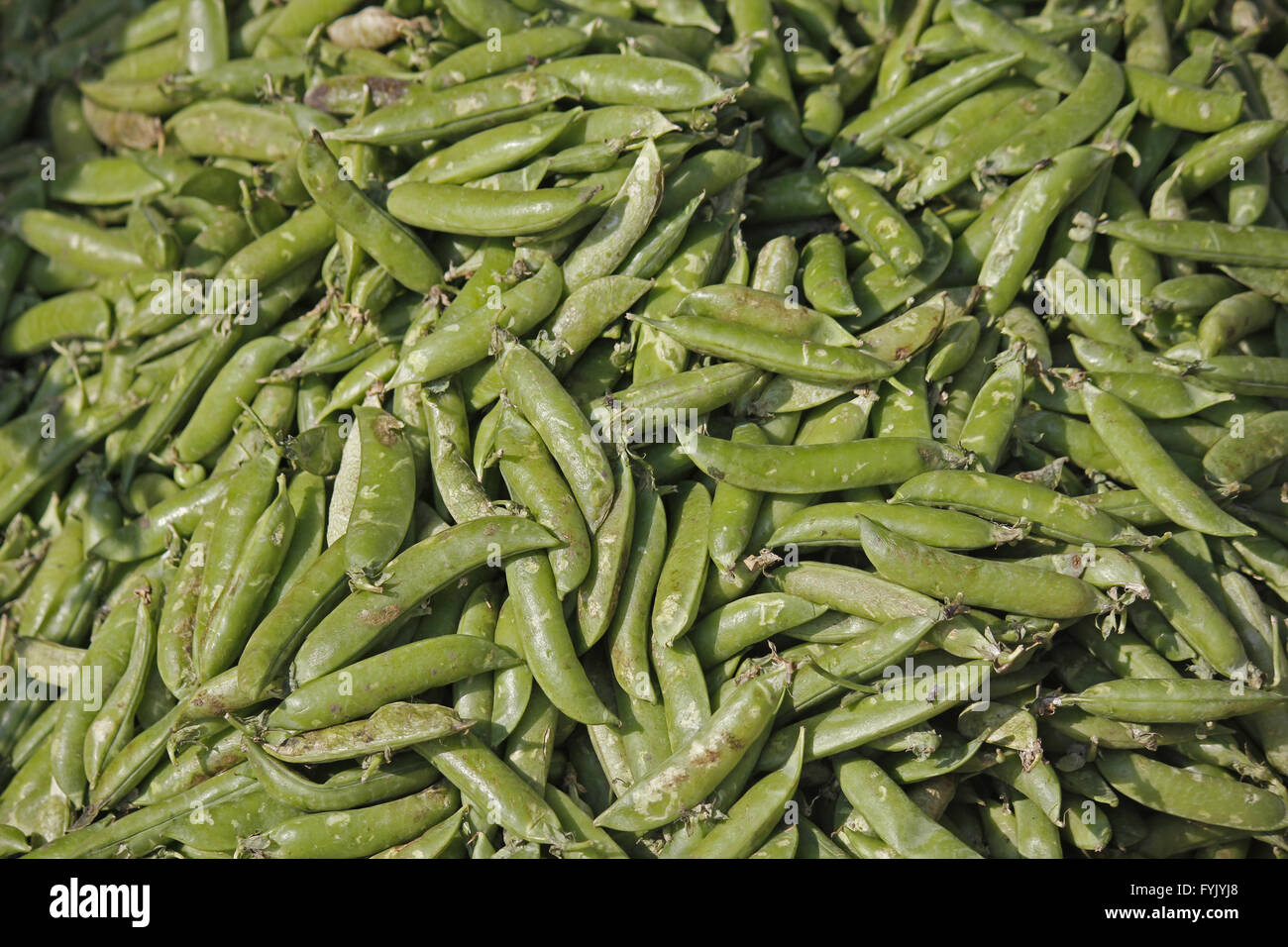 Peas full frame hi-res stock photography and images - Alamy