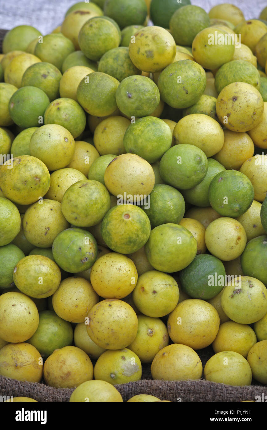 Lemon, C. limon at market for sell Stock Photo - Alamy