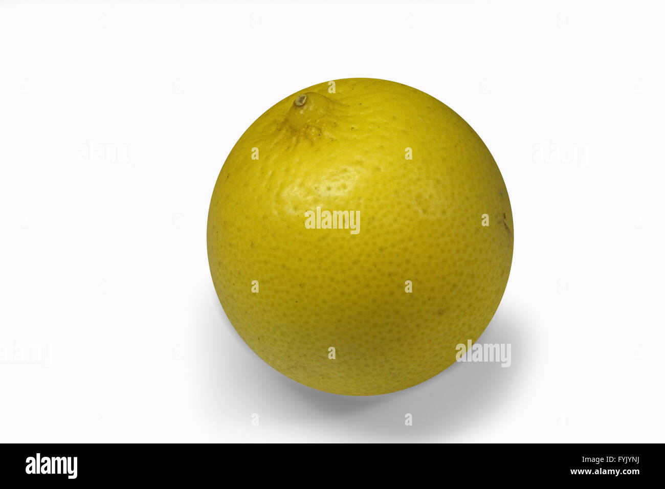 Lemon, C. limon Stock Photo - Alamy