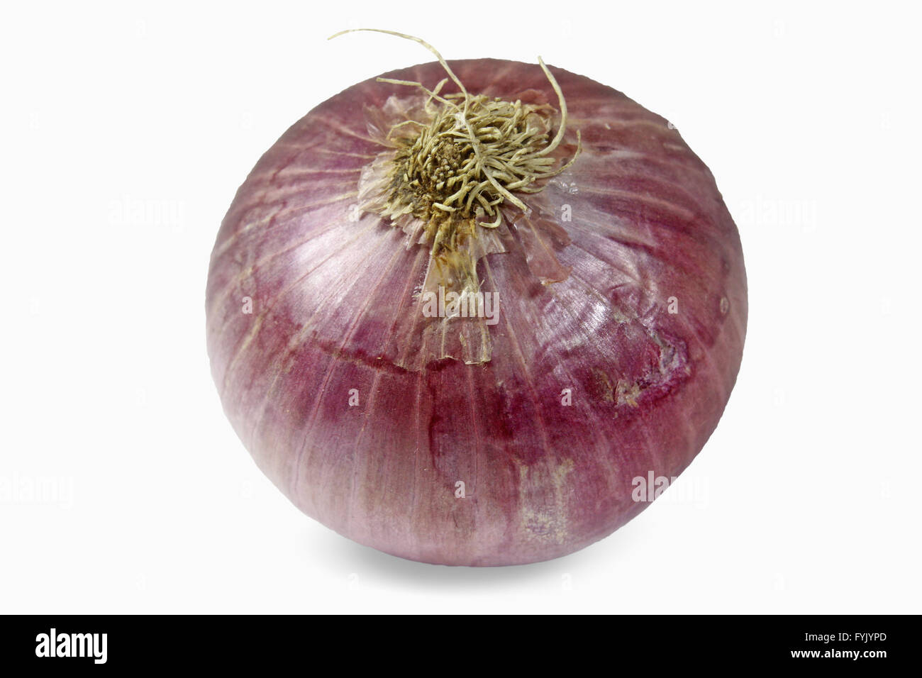 Bulb of onion Stock Photo - Alamy