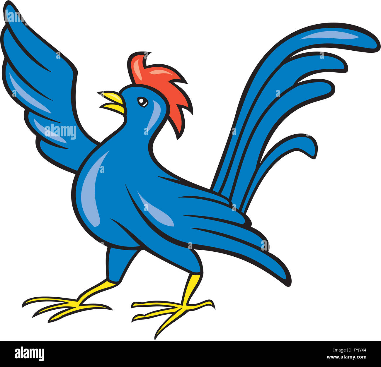 Chicken Rooster Wing Pointing Cartoon Stock Photo - Alamy