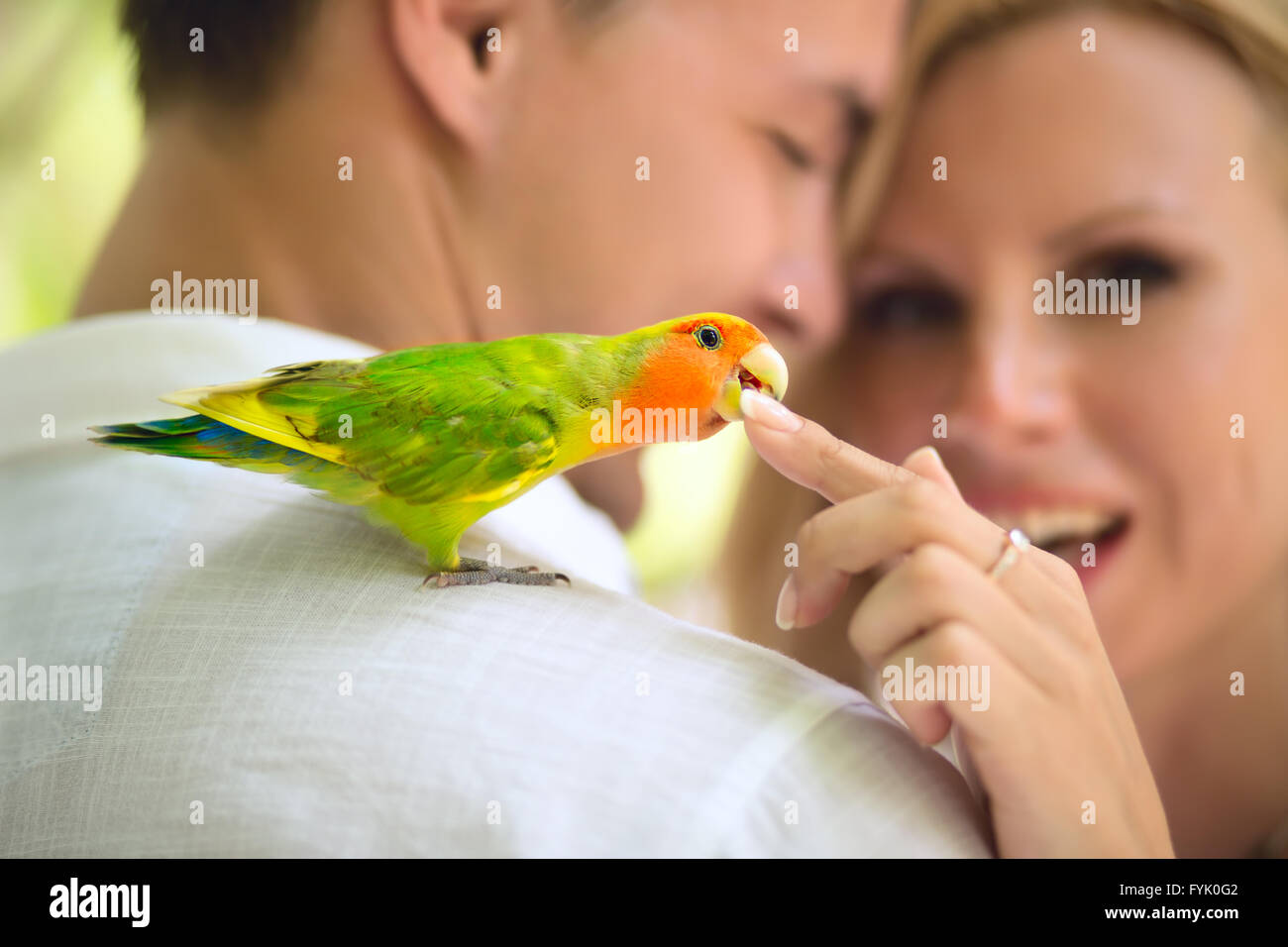Parrot on shoulder hi-res stock photography and images - Alamy