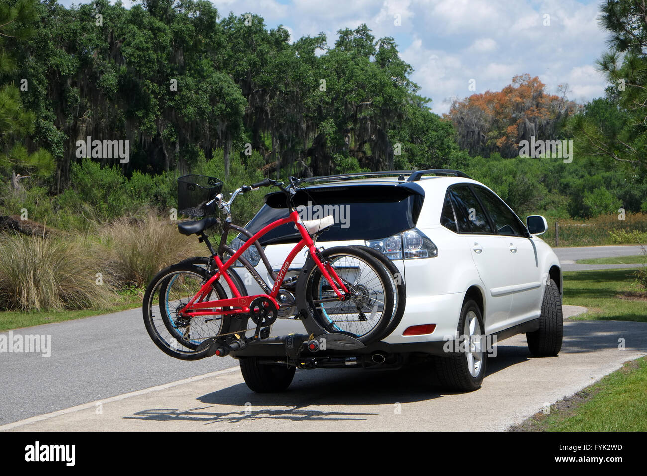 Japanese SUV with two American style comfort cruiser bikes in Florida ...