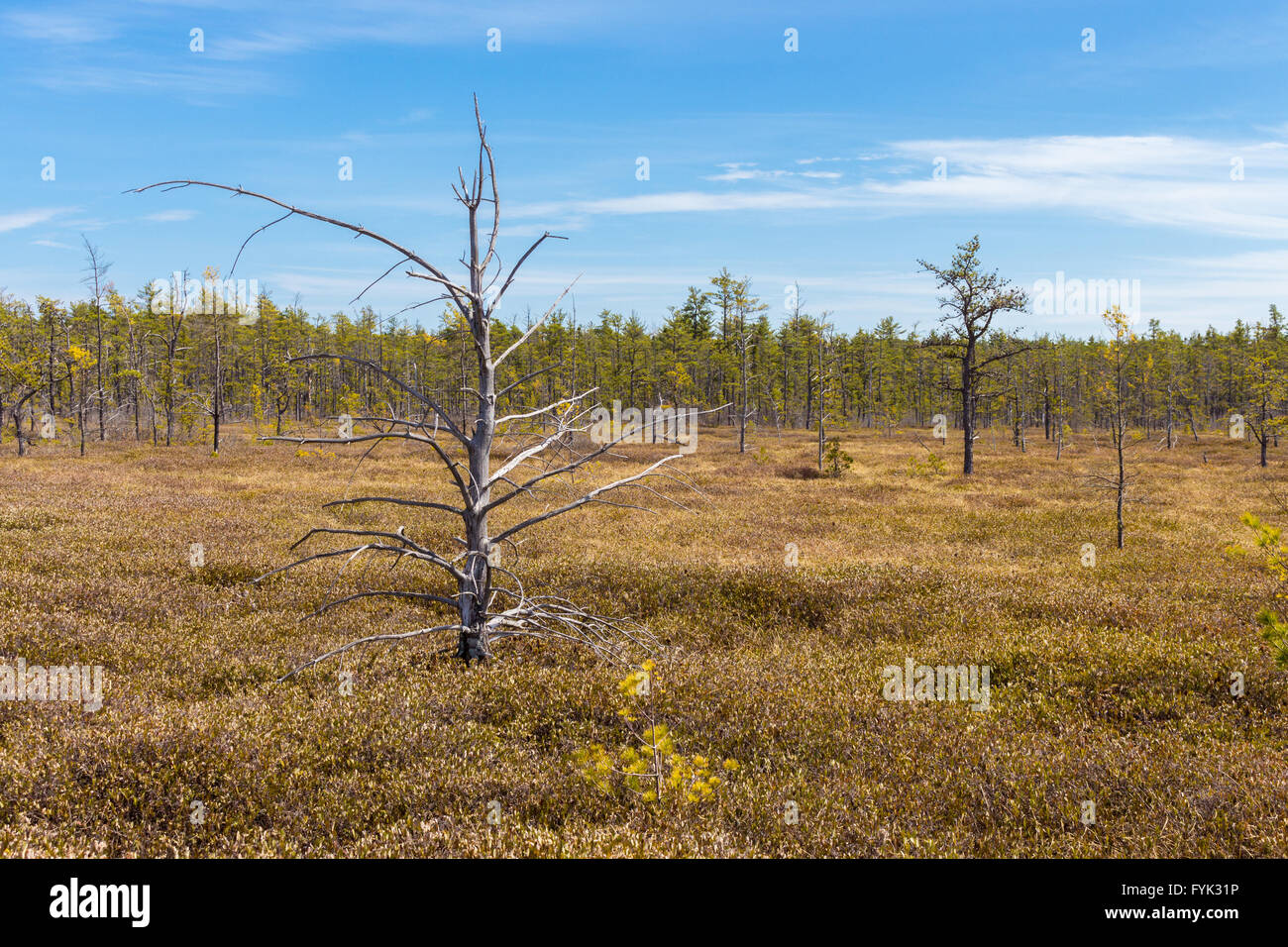 Saco maine hi-res stock photography and images - Alamy