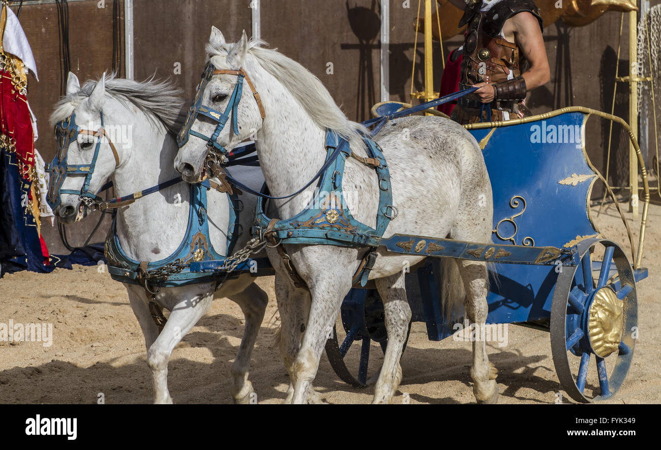 Roman chariot in a fight of gladiators, bloody circus Stock Photo - Alamy