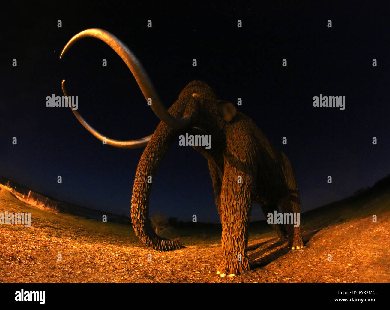 Woolly Mammoth statue Horicon Marsh Wisconsin at night Stock Photo - Alamy