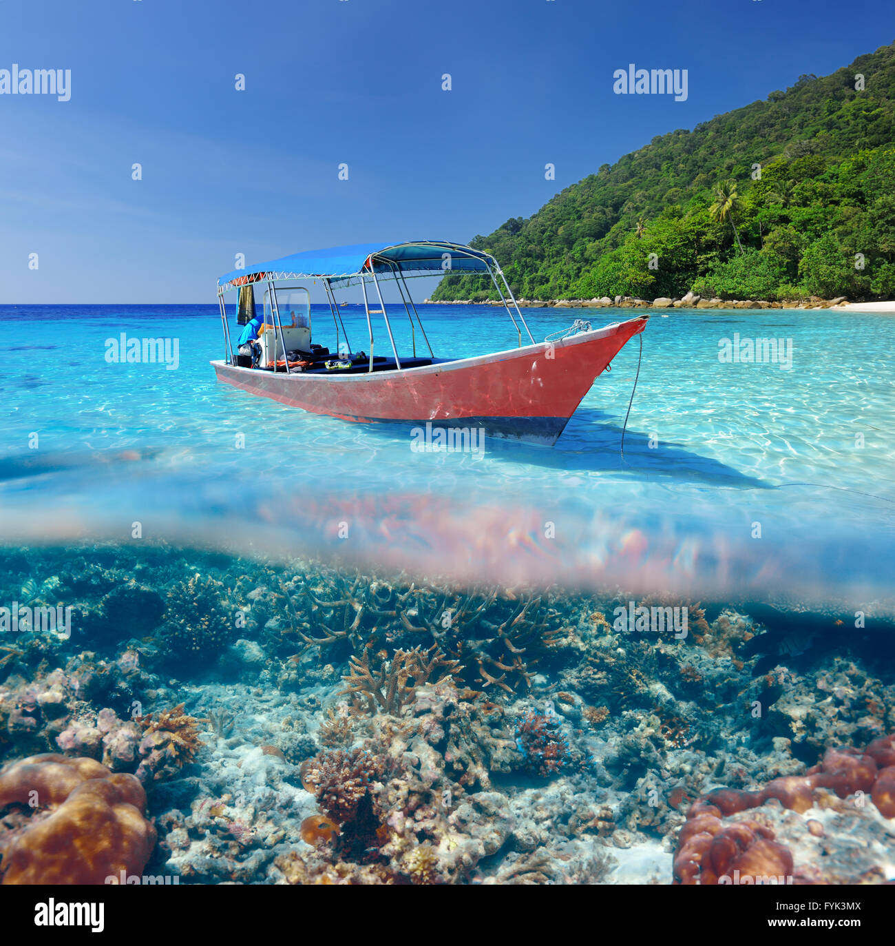 Beach and motor boat with coral reef underwater view Stock Photo - Alamy