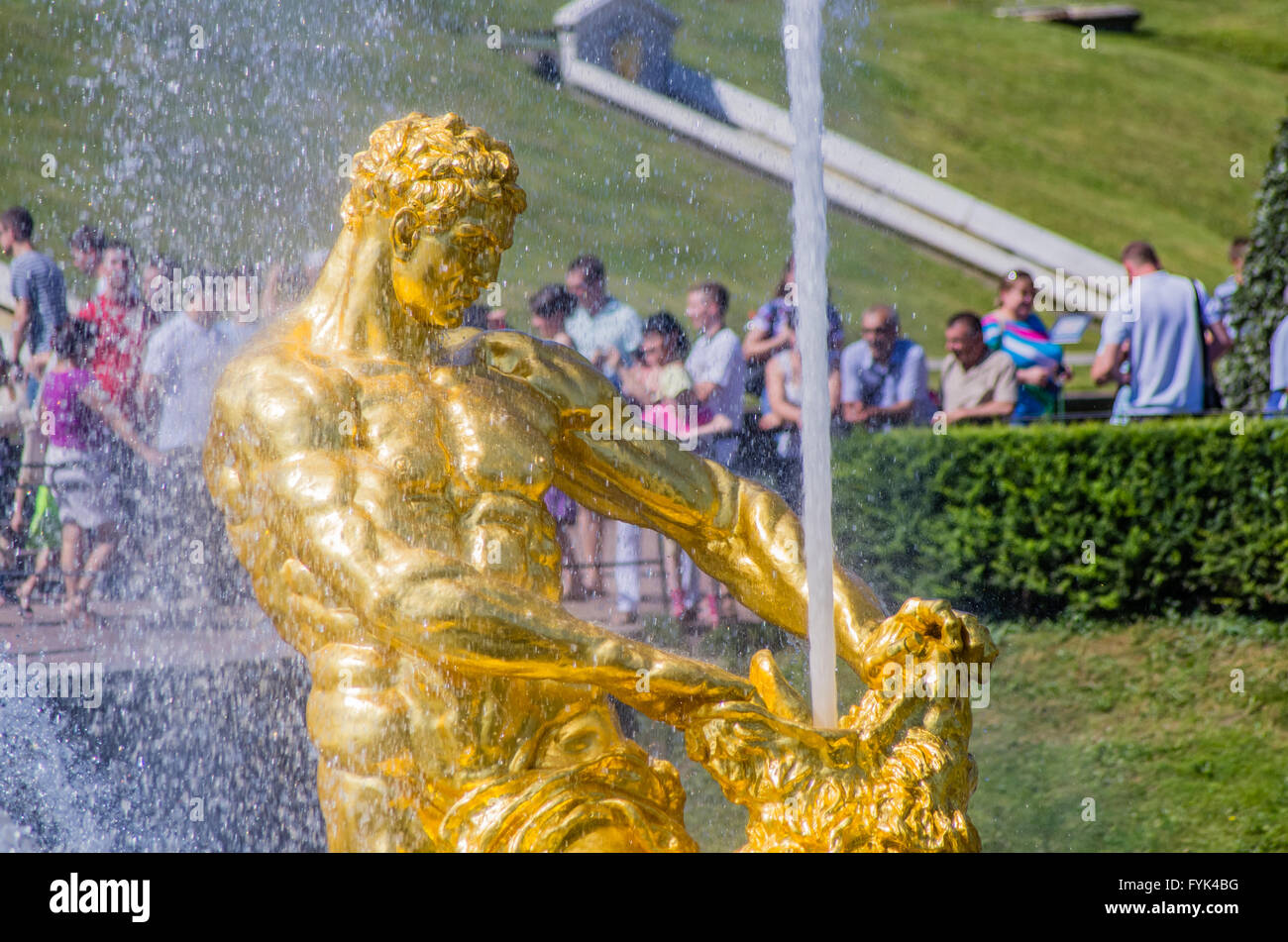 Samson the cat hi-res stock photography and images - Alamy