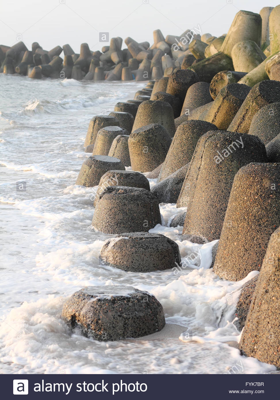 Tetrapod Structure Stock Photos & Tetrapod Structure Stock Images - Alamy