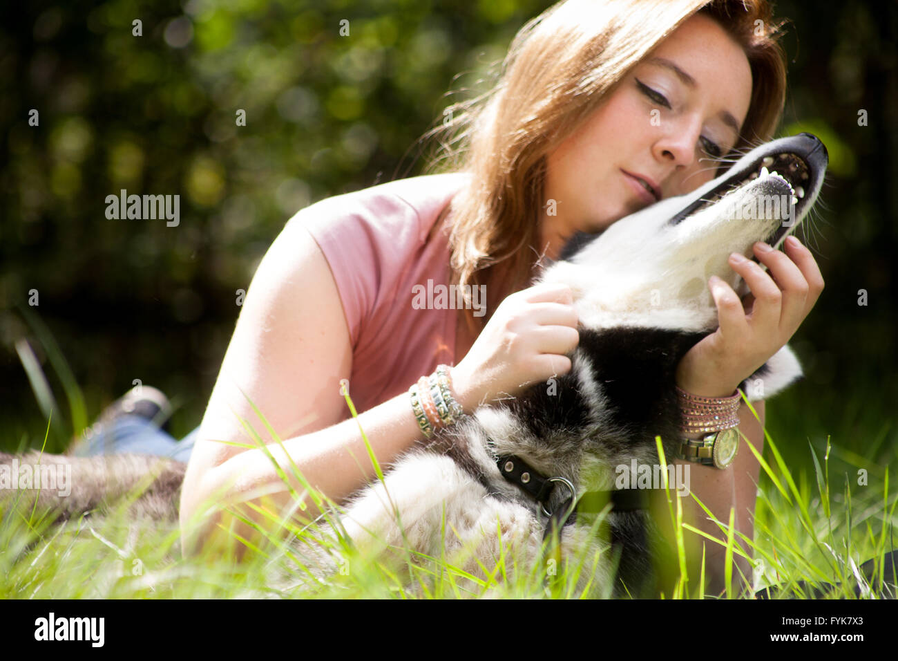 Dog and owner Stock Photo - Alamy