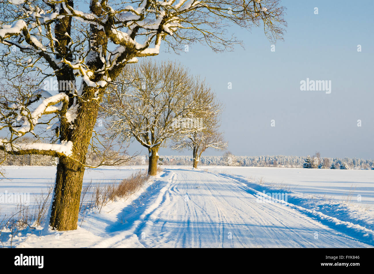 Countryside frost hi-res stock photography and images - Alamy