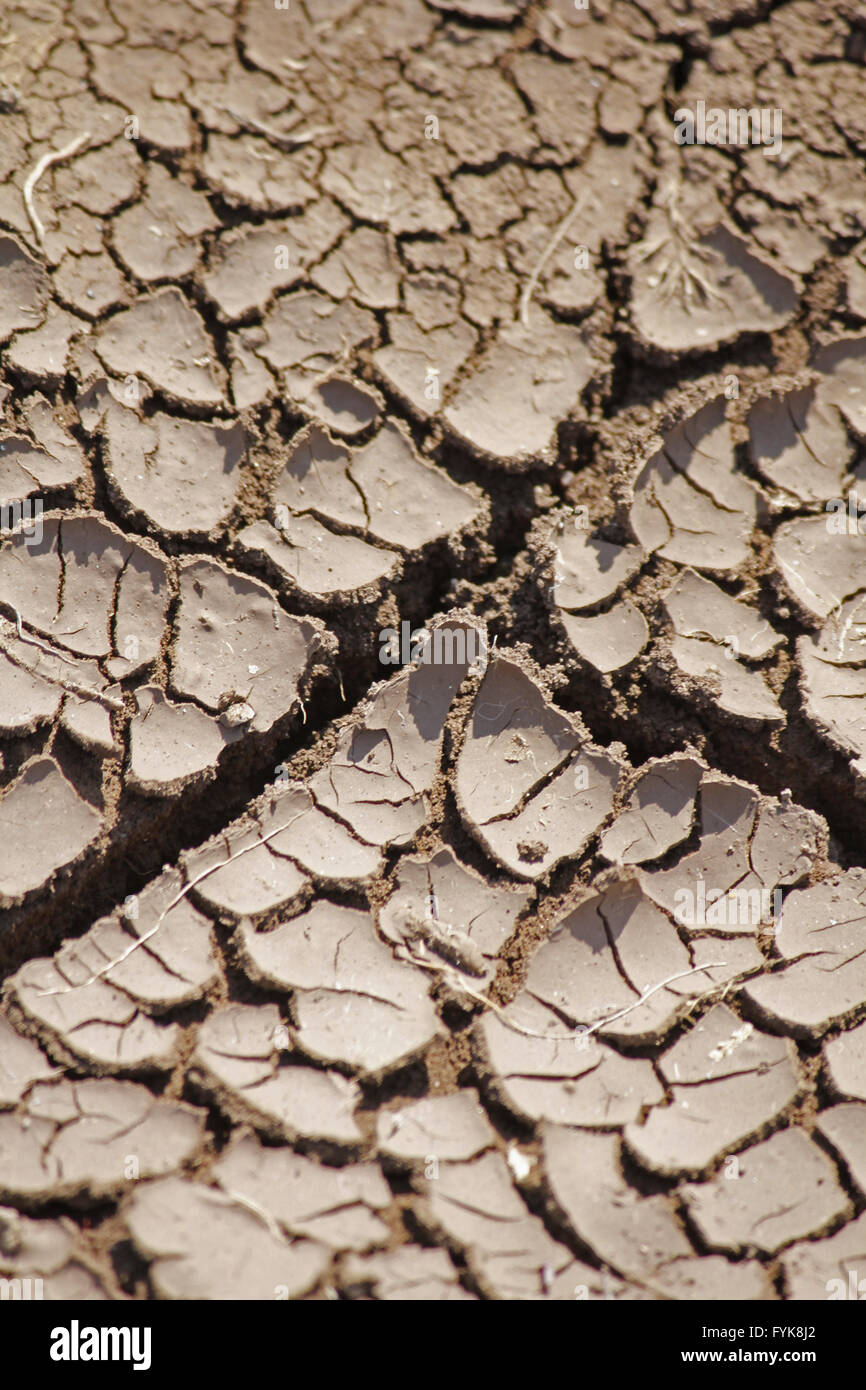 Cracked land hi-res stock photography and images - Alamy