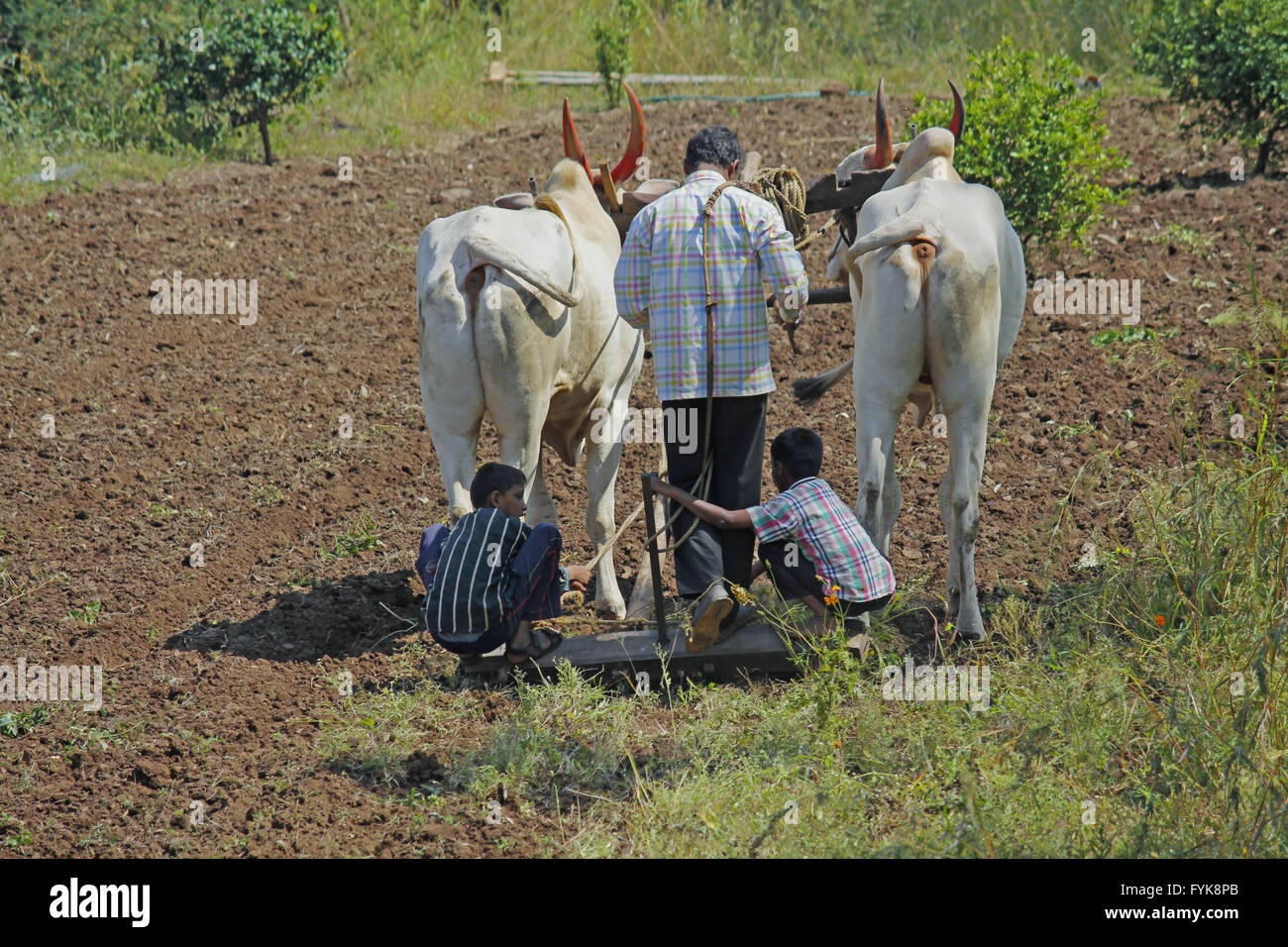 Manual ploughing hi-res stock photography and images - Alamy