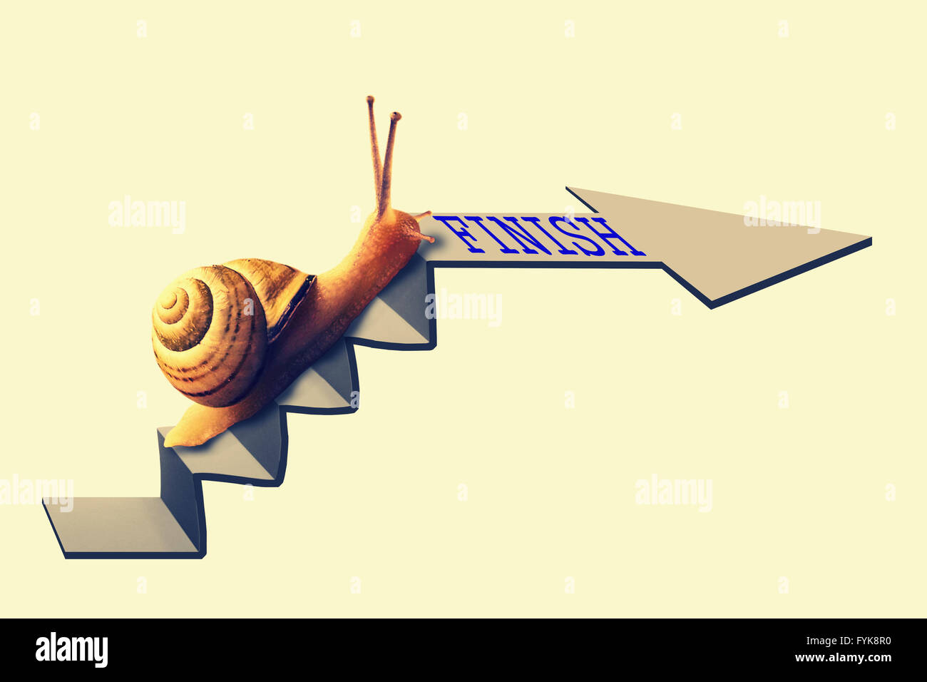 Snail on Staircase Stock Photo - Alamy