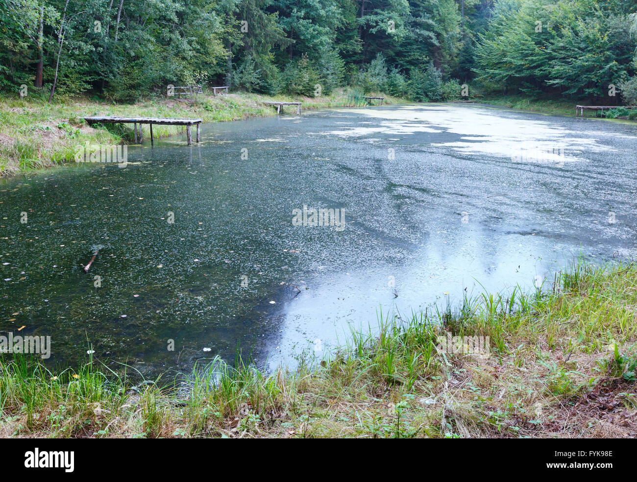 Dirty little lake Stock Photo - Alamy