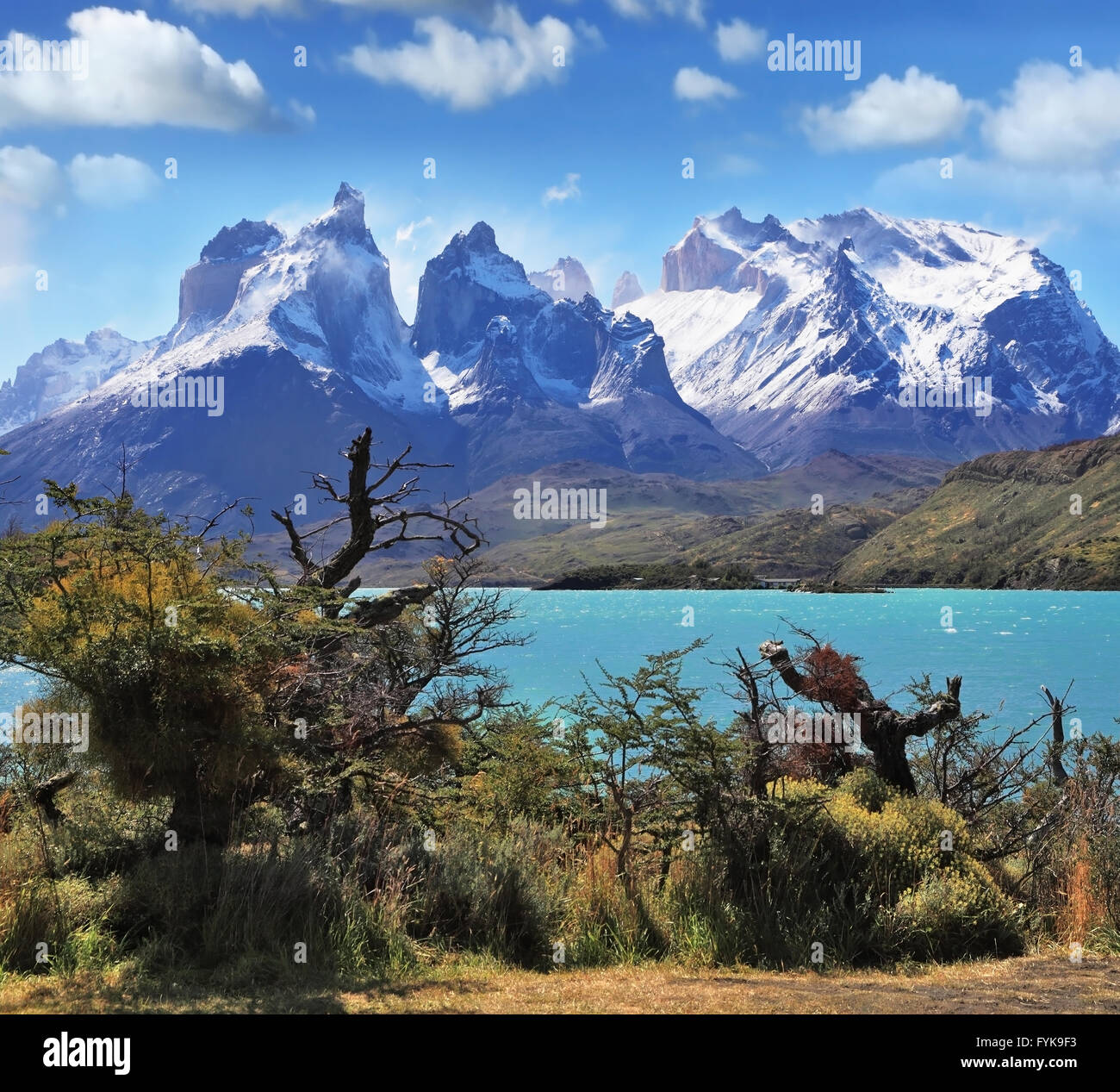 A strong wind blows hi-res stock photography and images - Alamy