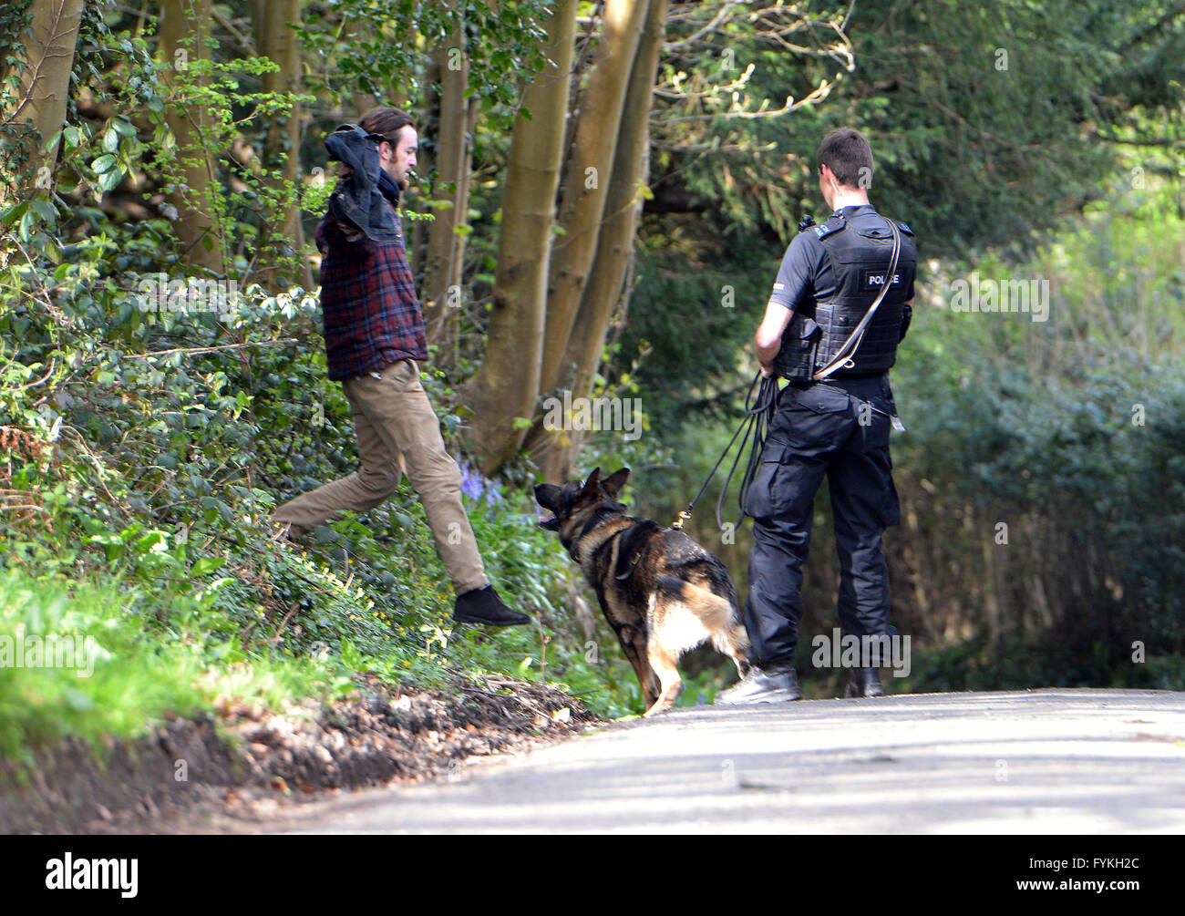 Man hiding in bushes hi-res stock photography and images - Alamy