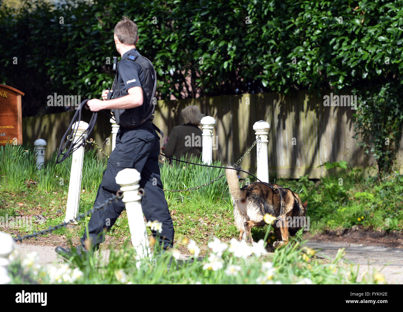 Man hiding in bushes hi-res stock photography and images - Alamy