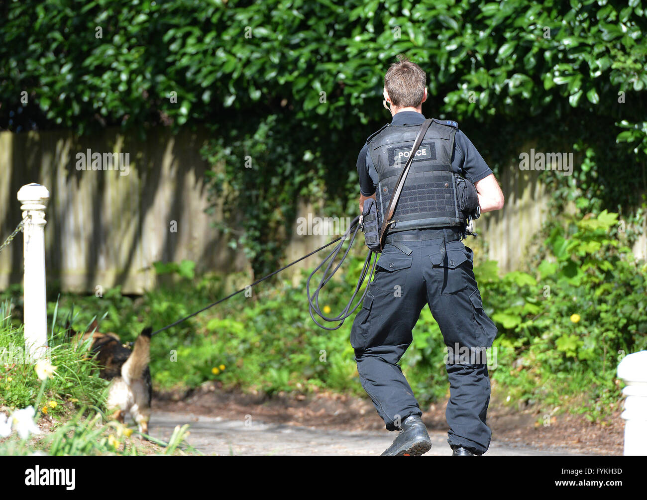 Man hiding in bushes hi-res stock photography and images - Alamy