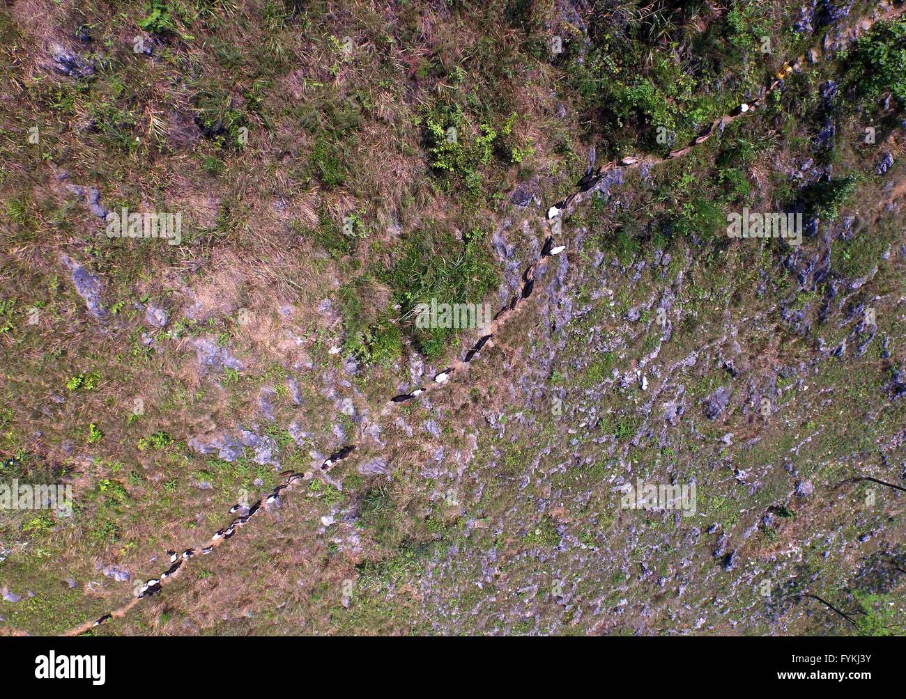 Dahua, China. 27th April, 2016. An aerial photo taken on April 15, 2016 ...