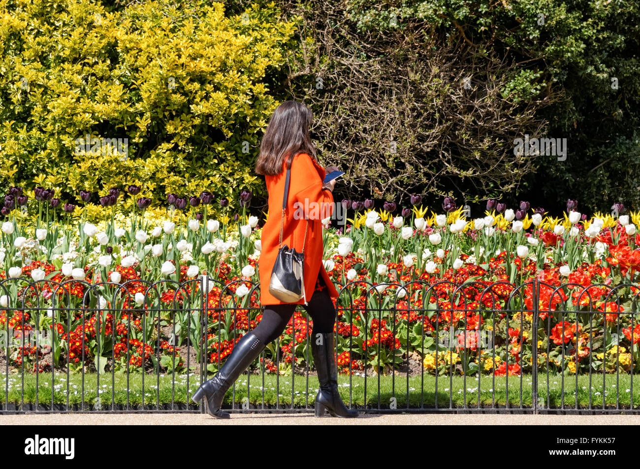 Spring weather in St James's Park, London England United Kingdom UK ...