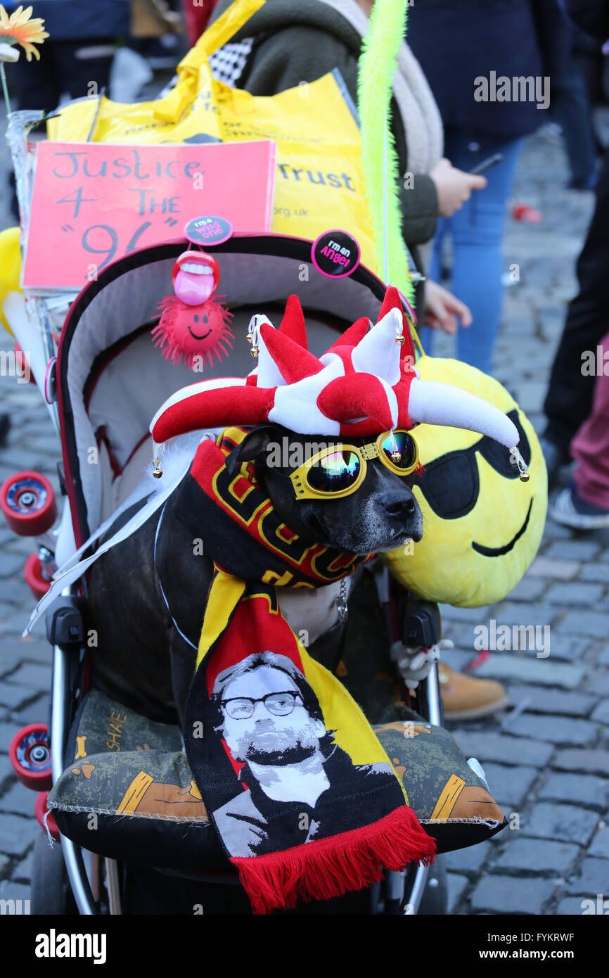 Cleo the dog hi-res stock photography and images - Alamy