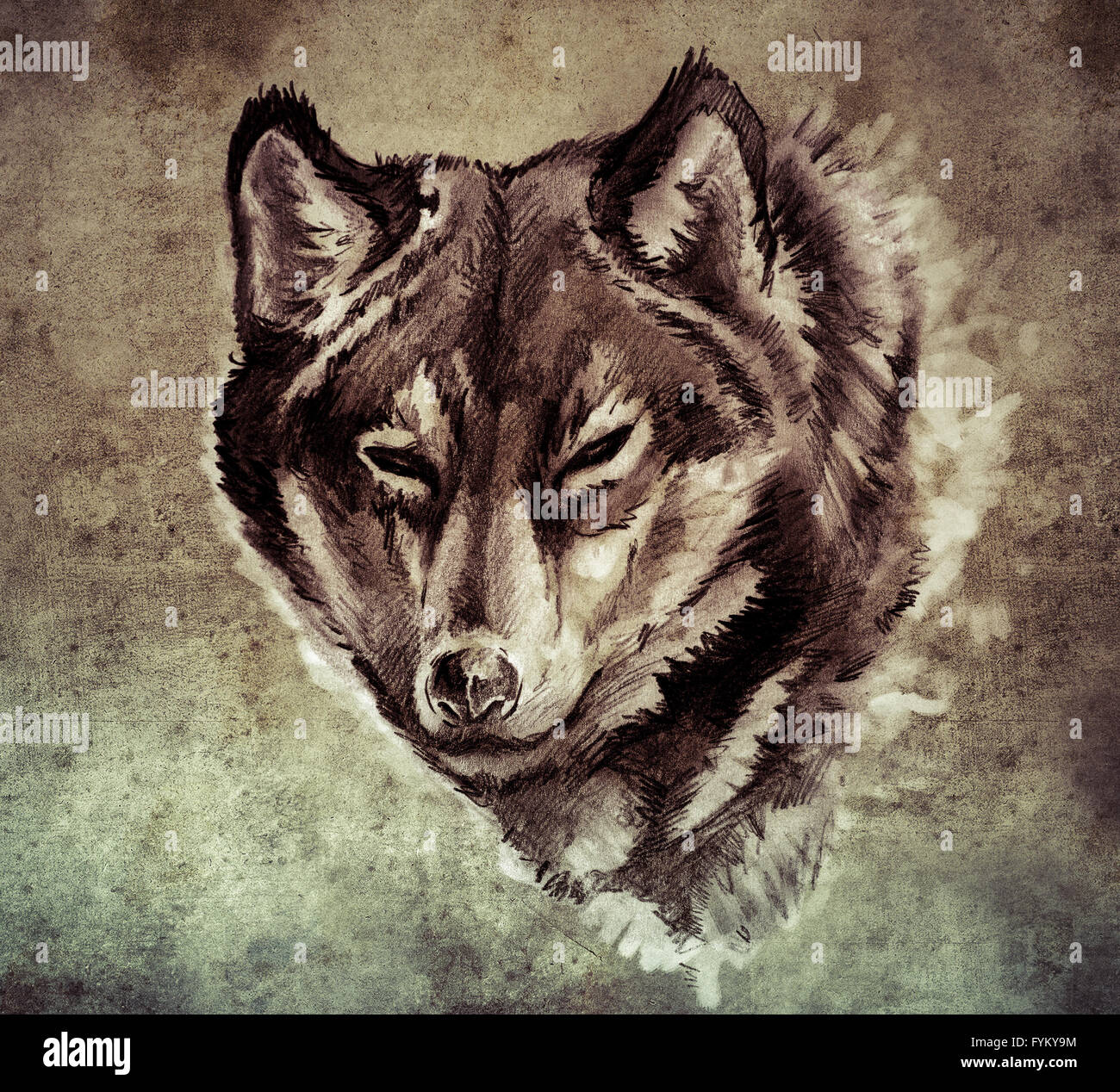 Sketch of tattoo art, Illustration of a Wolf head Stock Photo - Alamy