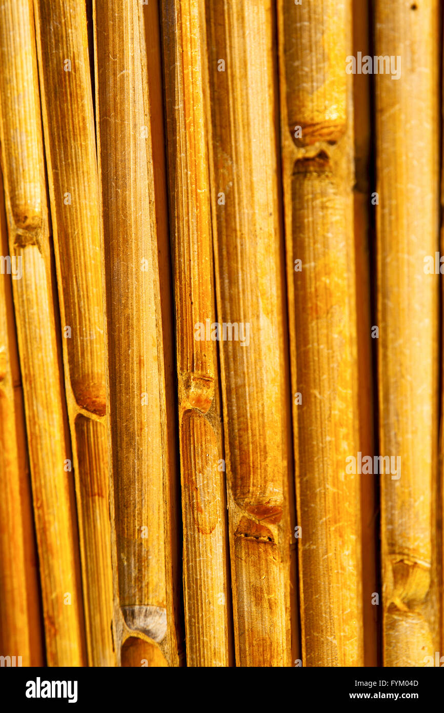 abstract cross bamboo in the temple kho south Stock Photo - Alamy