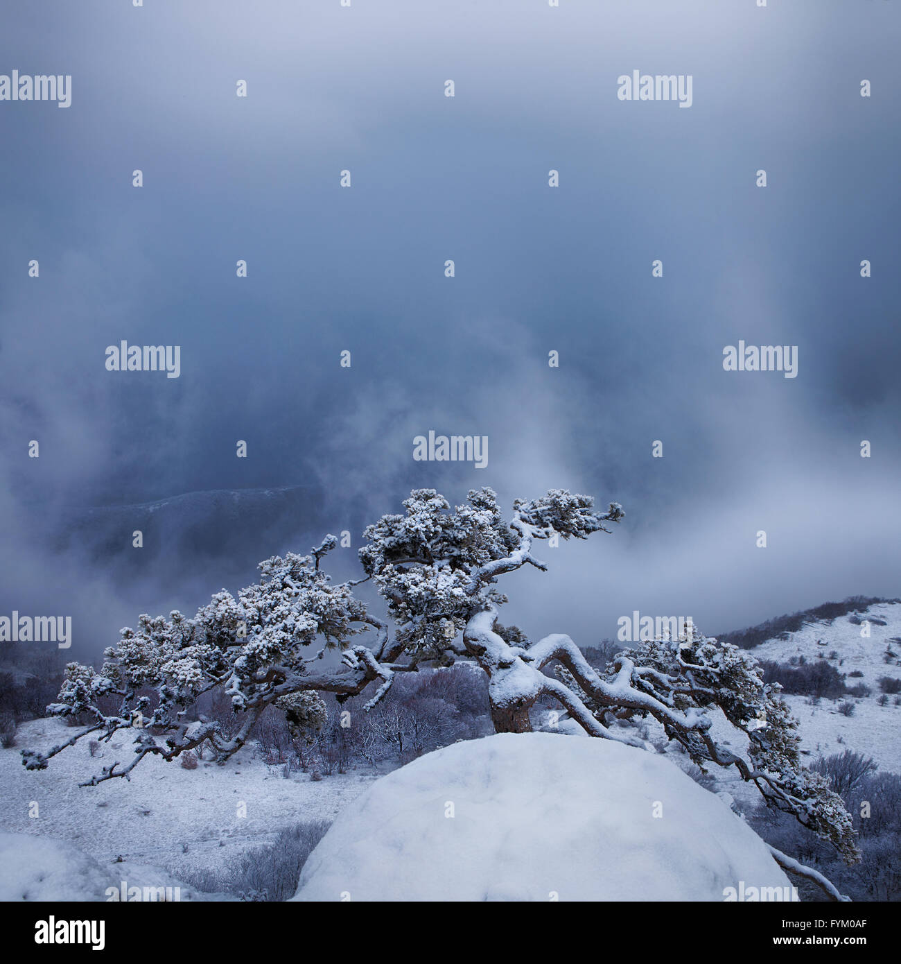Ukraine storm hi-res stock photography and images - Alamy