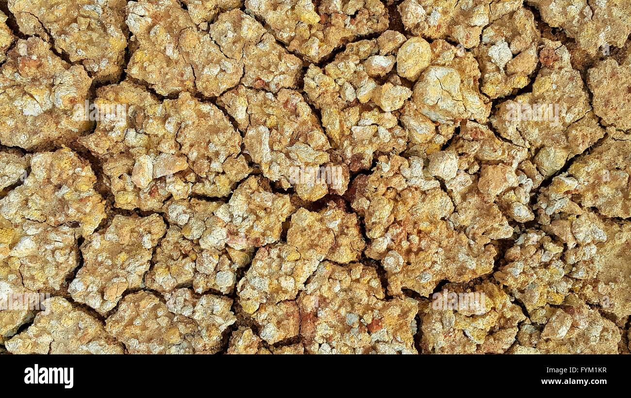 Dry and Cracked ground Stock Photo - Alamy