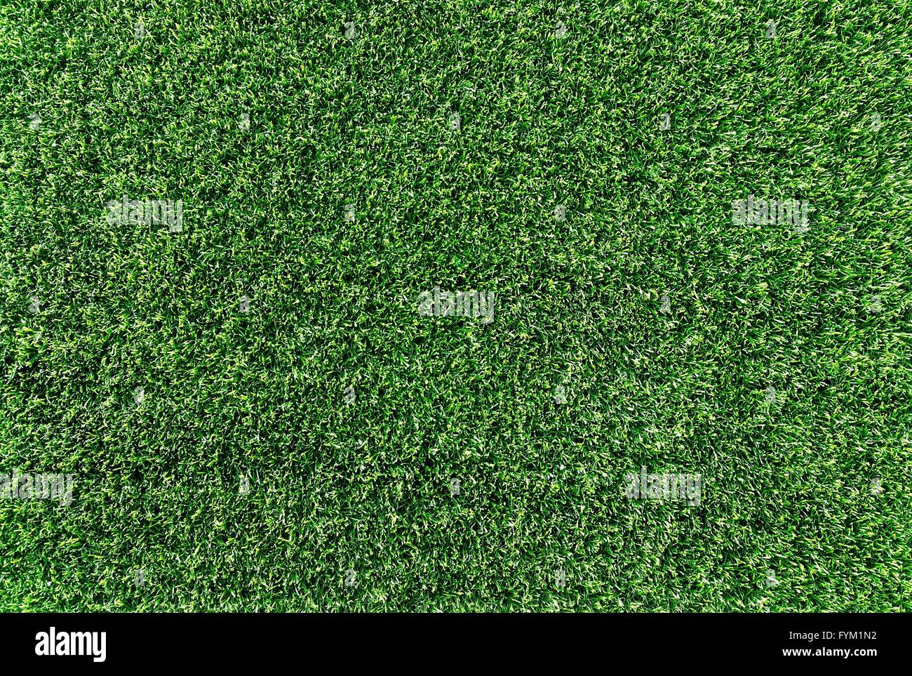 Green grass texture background Stock Photo - Alamy