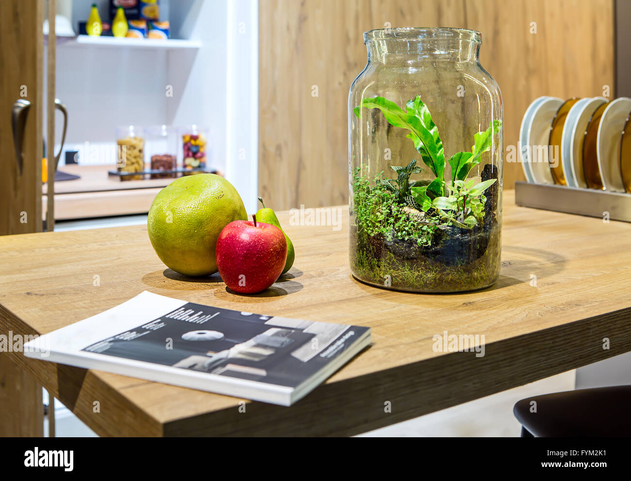 Plants in vase Stock Photo - Alamy