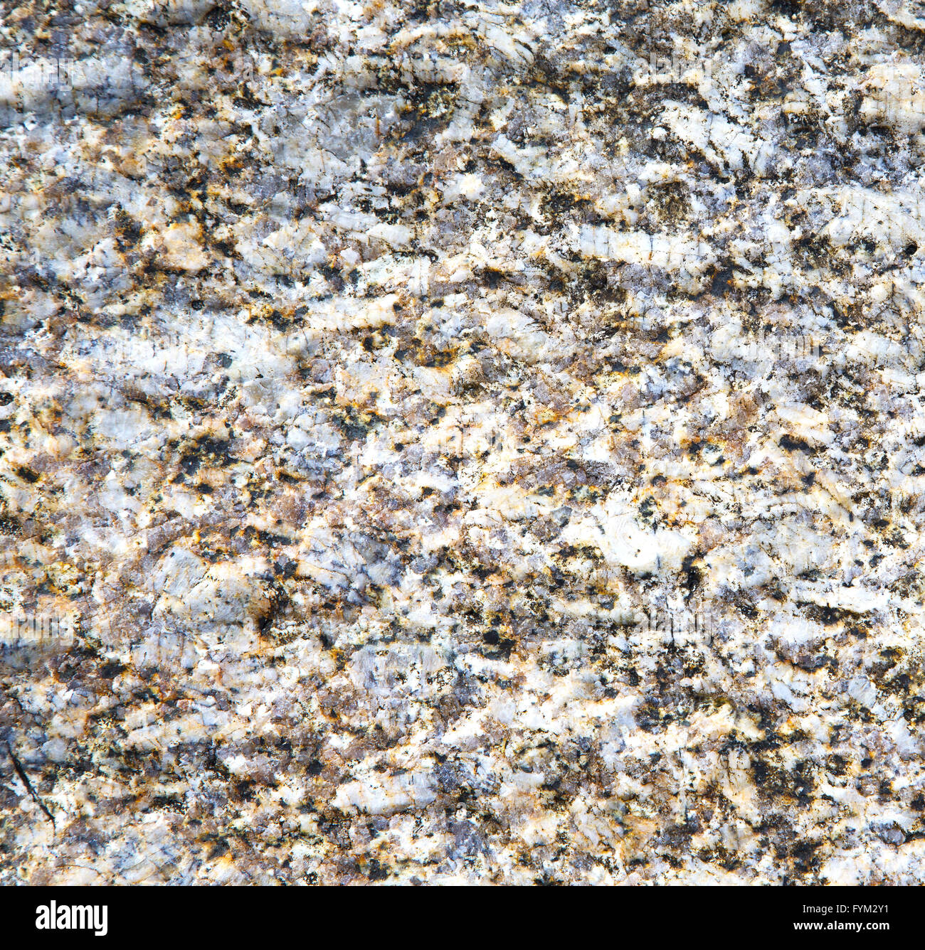 footstep kho samui rock stone abstract texture s Stock Photo - Alamy