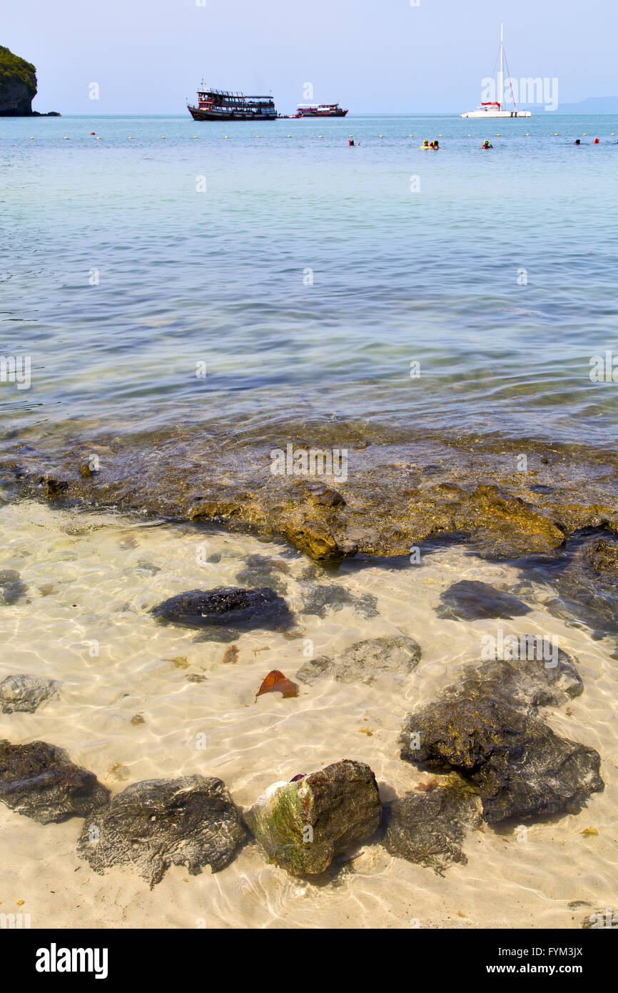 asia in bay the koh phangan thailand and south china sea Stock Photo ...