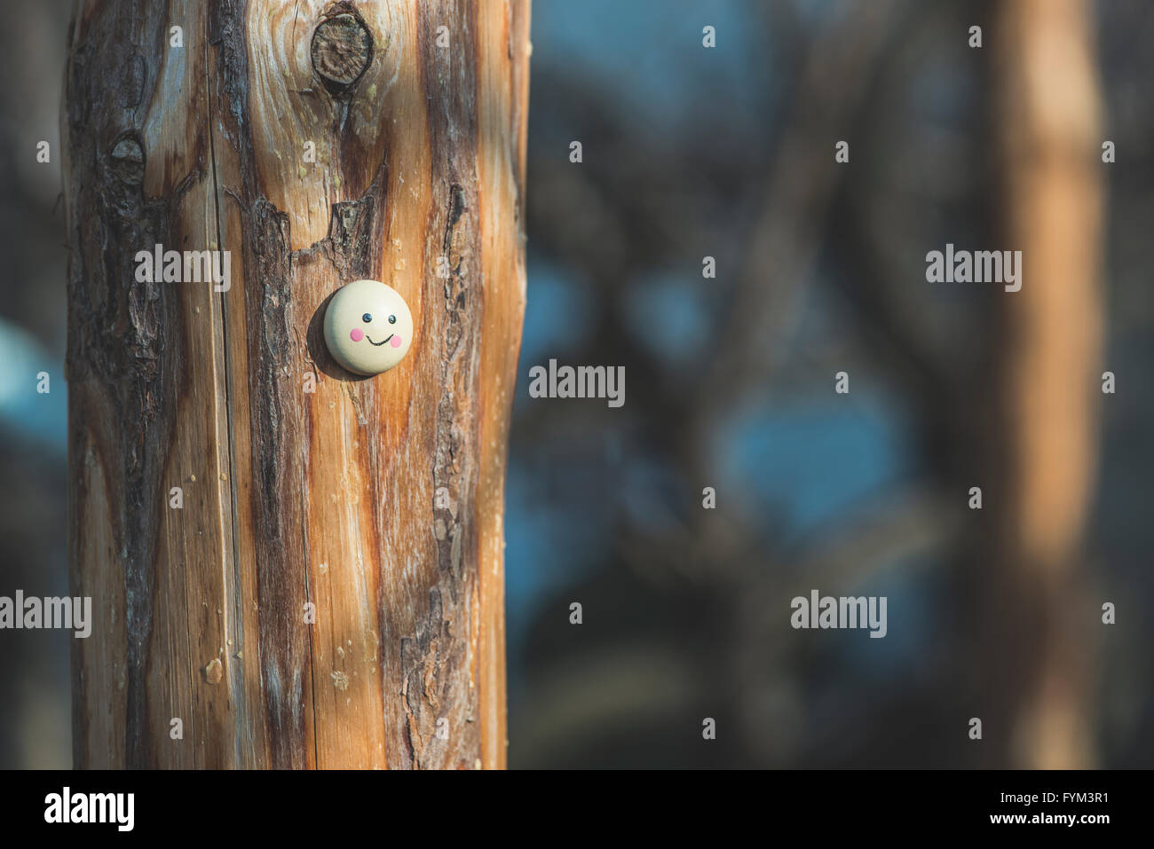 Smile tree hi-res stock photography and images - Alamy