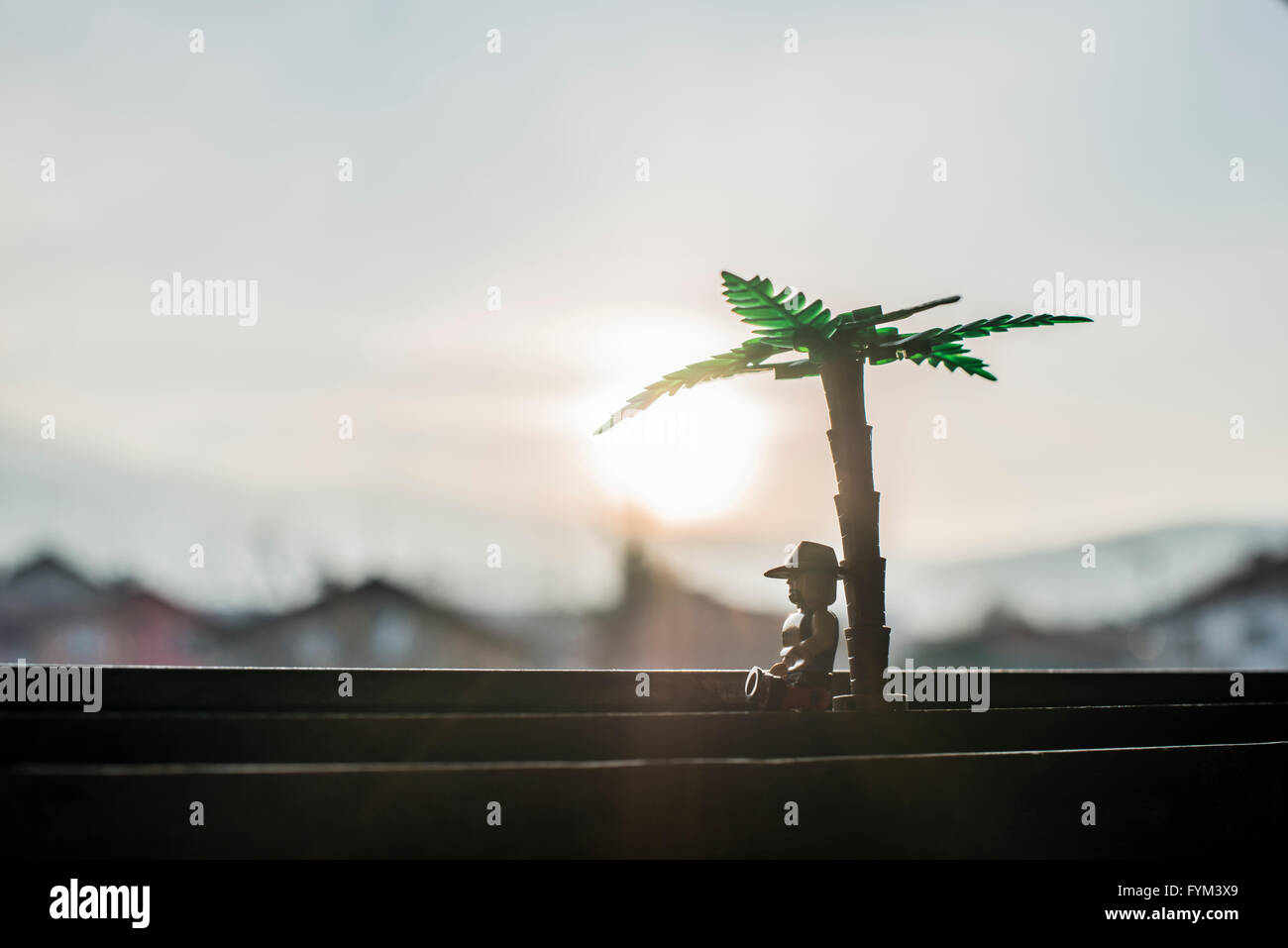Figures of palm tree and man on sunset Stock Photo - Alamy