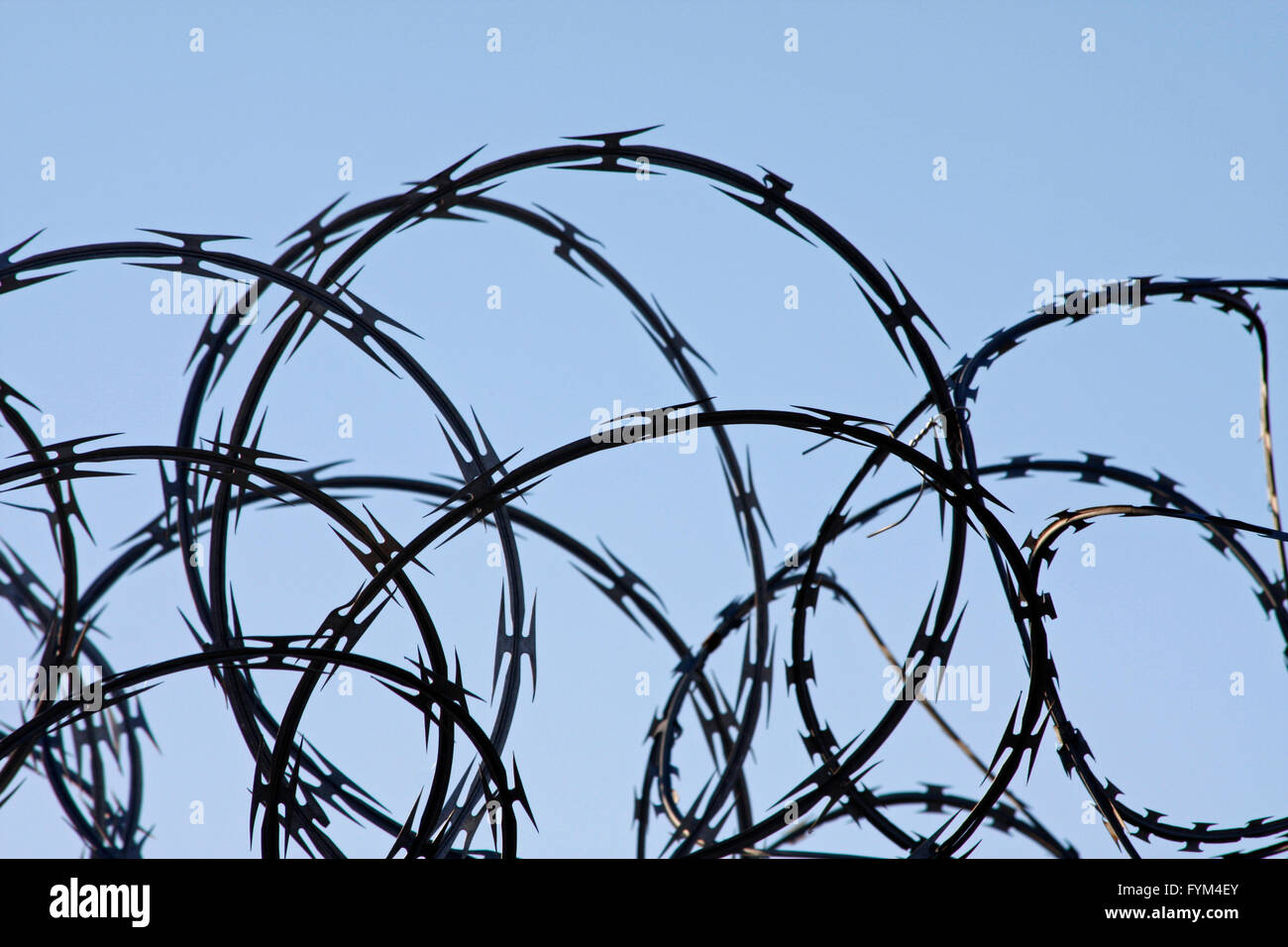 Razor wire against a blue sky Stock Photo - Alamy