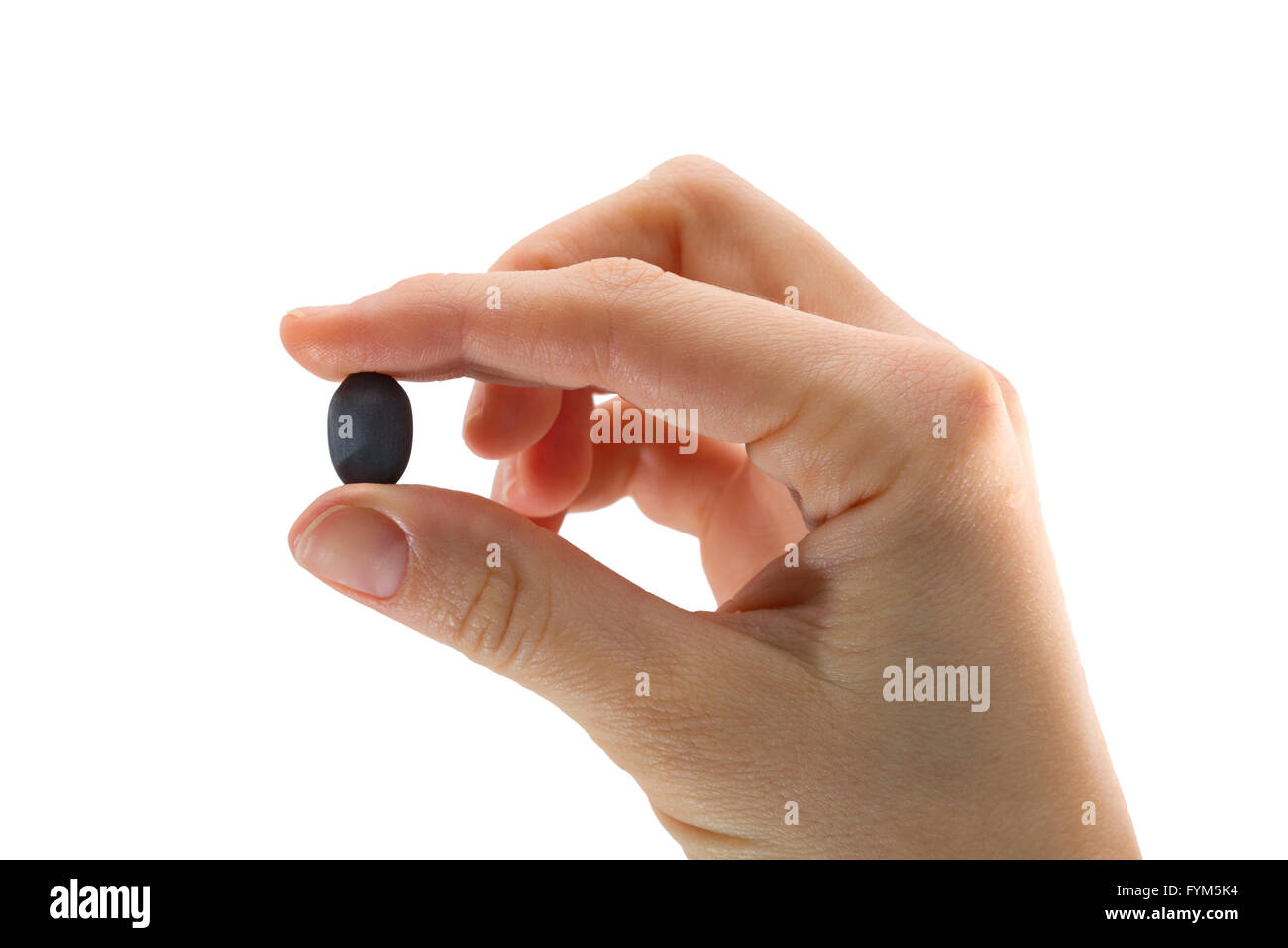Lotus seeds in hand Stock Photo - Alamy