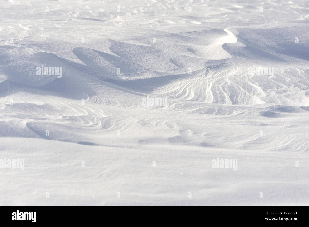 Very fine in texture hi-res stock photography and images - Alamy