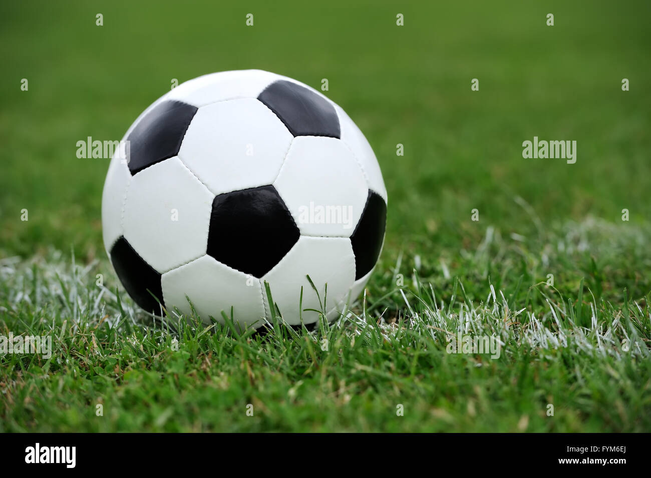 Round soccer ball on grass hi-res stock photography and images - Alamy