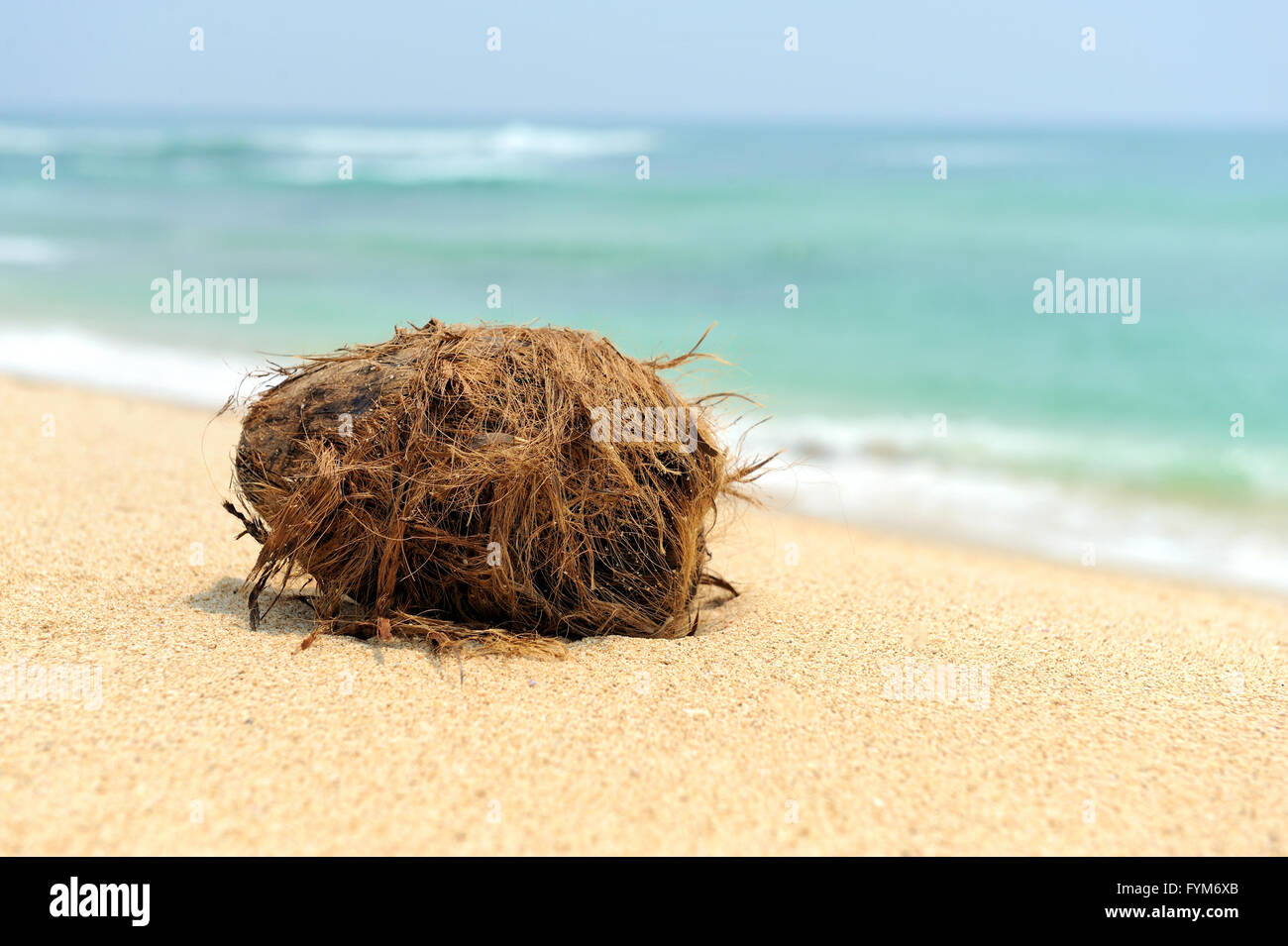 Sand beach ocean hi-res stock photography and images - Alamy