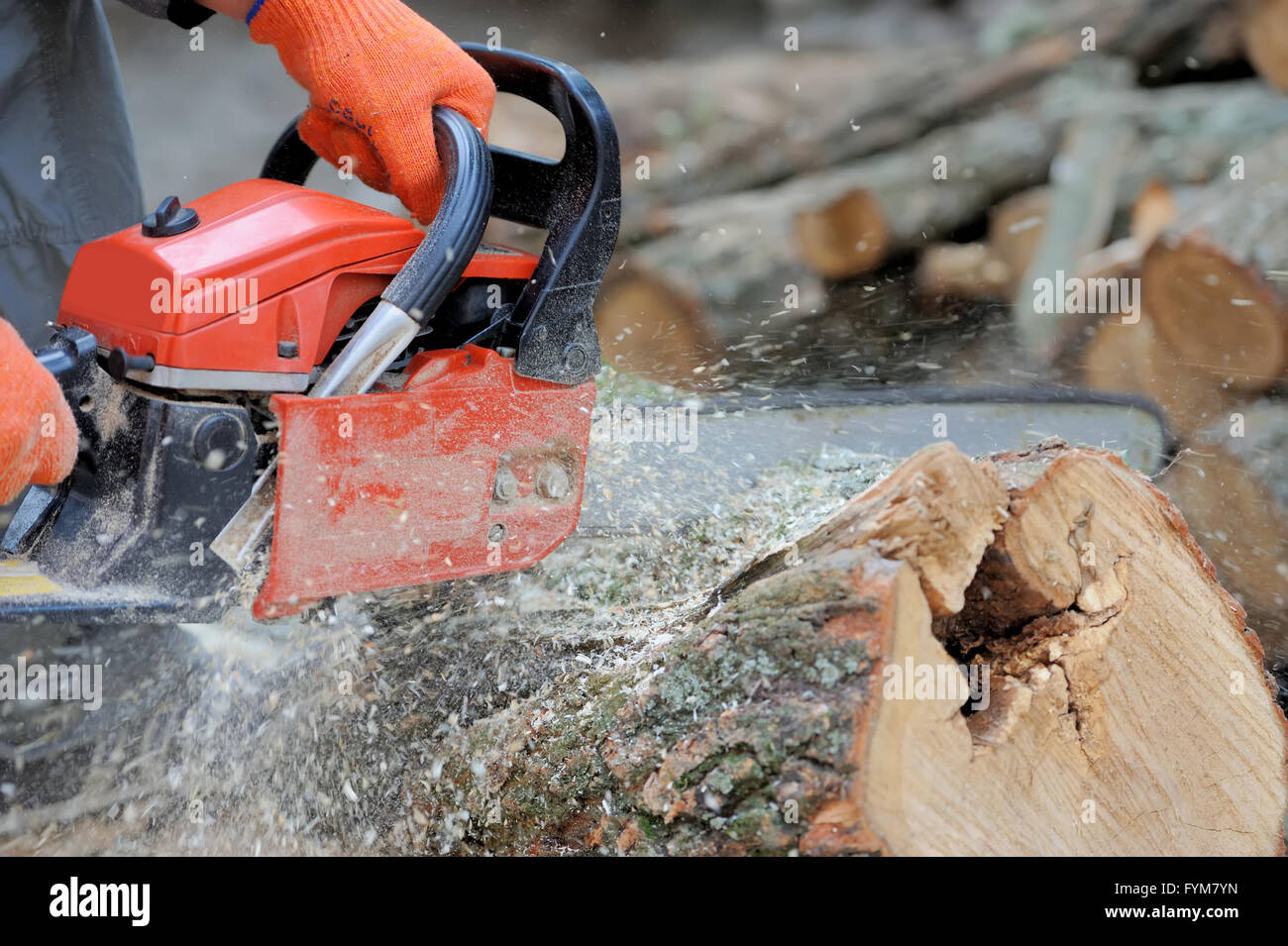 Chainsaw Man Wood Stock Photos & Chainsaw Man Wood Stock Images - Alamy