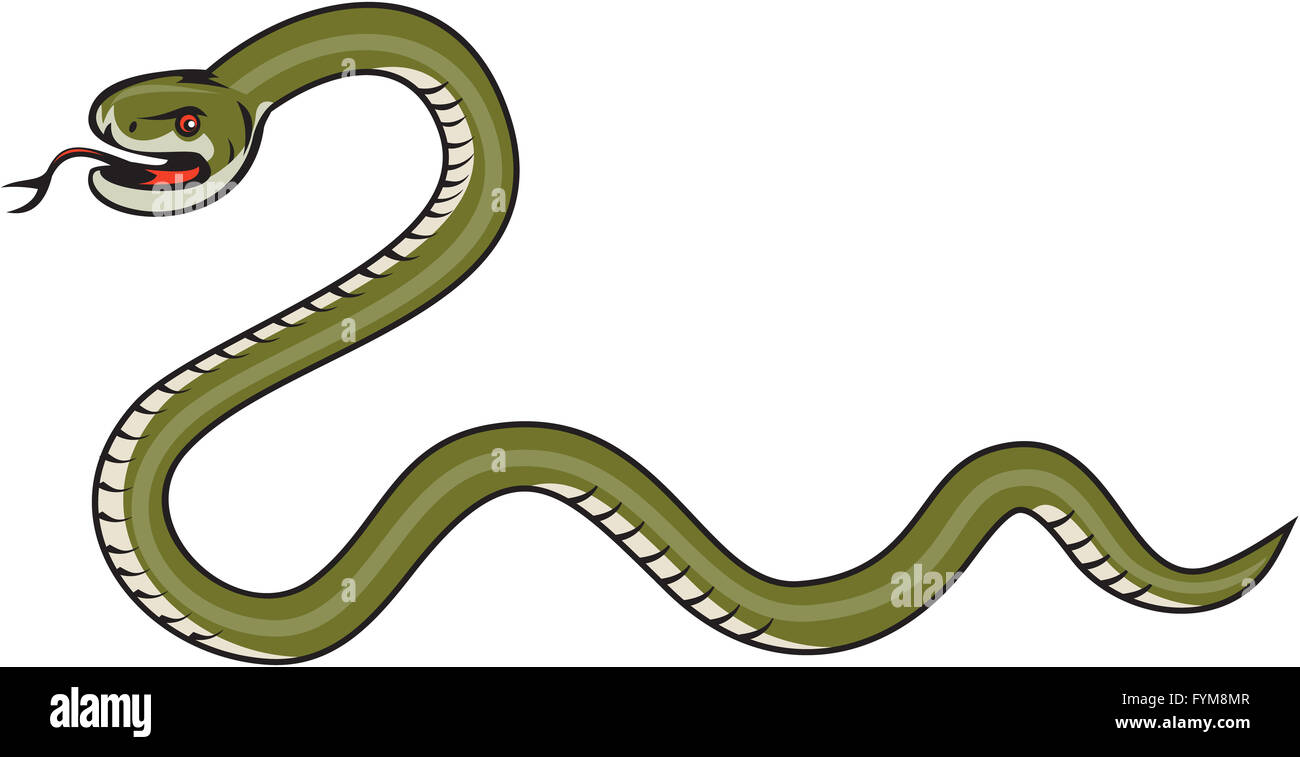 Serpent Coiling Side Isolated Cartoon Stock Photo - Alamy