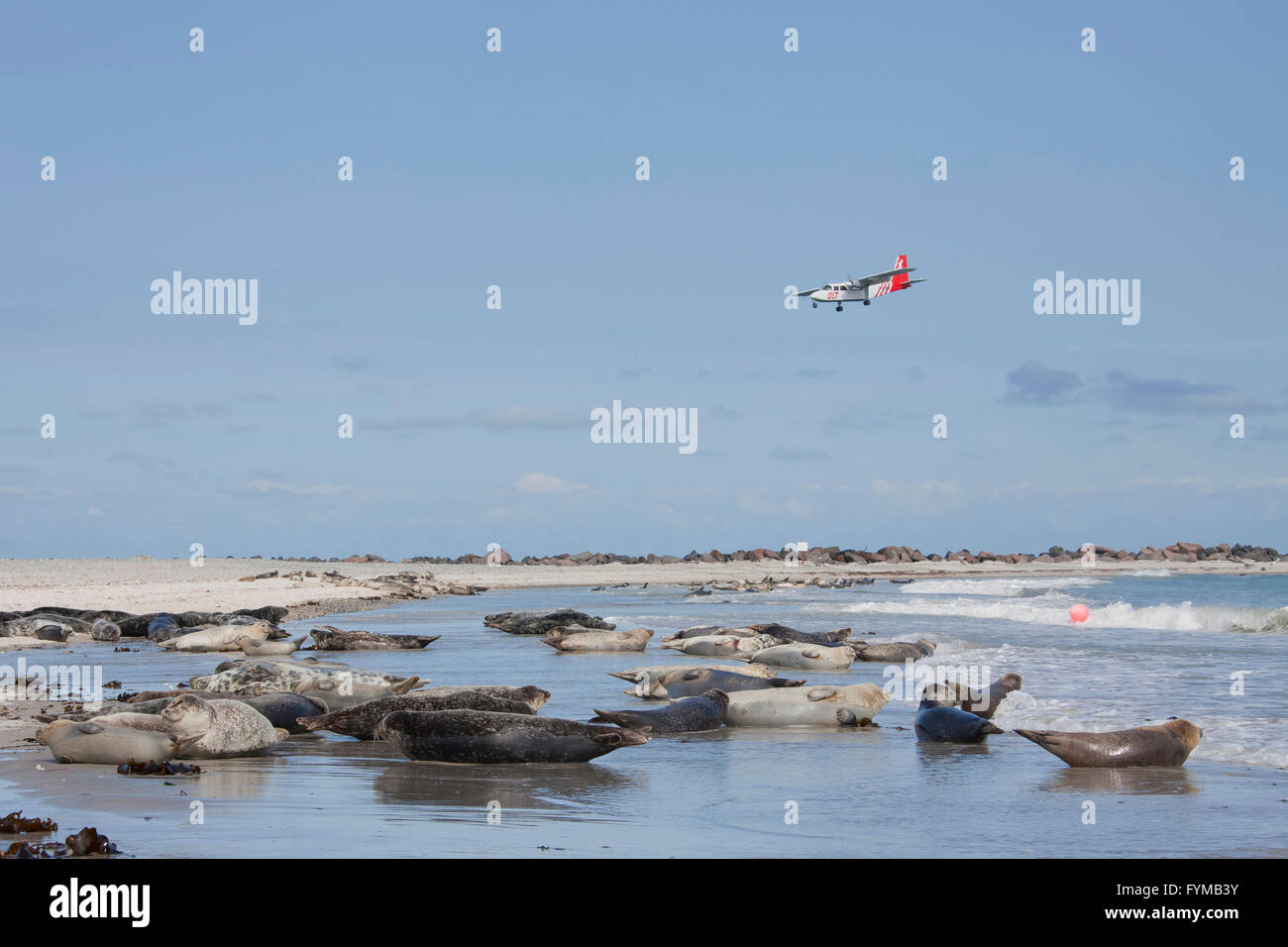 Aircraft beach landing hi-res stock photography and images - Alamy