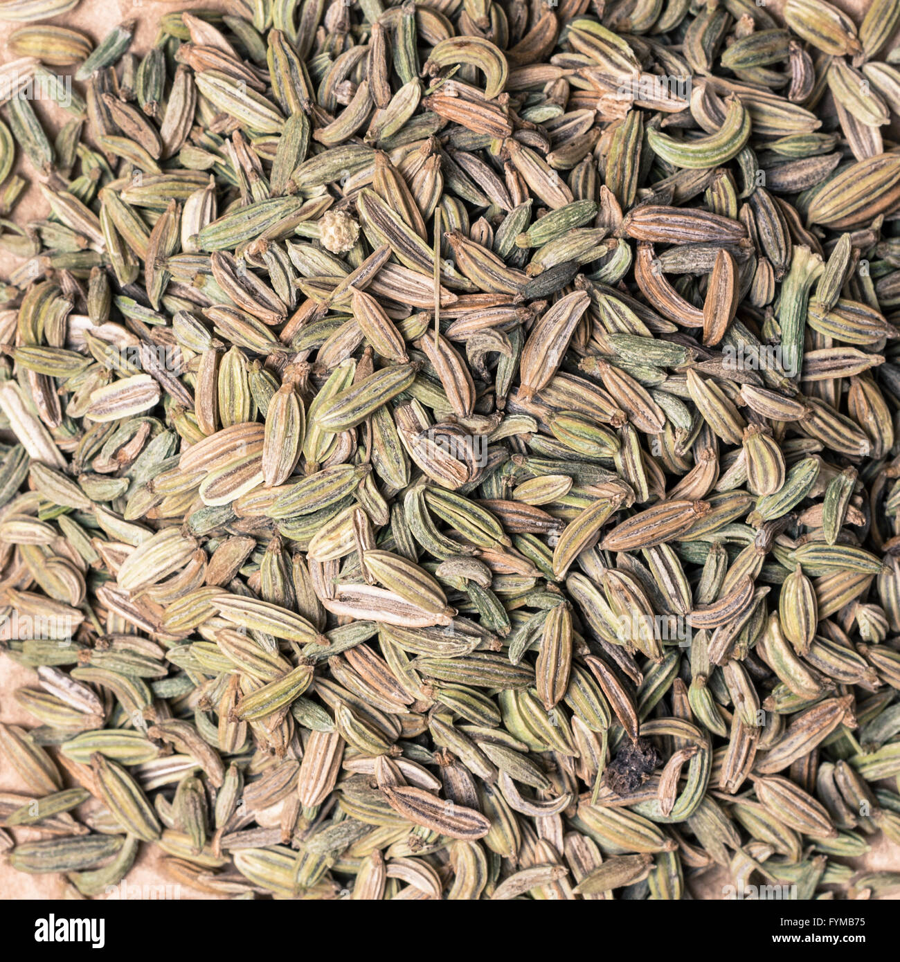 Dried fennel dill seeds as food background texture Stock Photo - Alamy