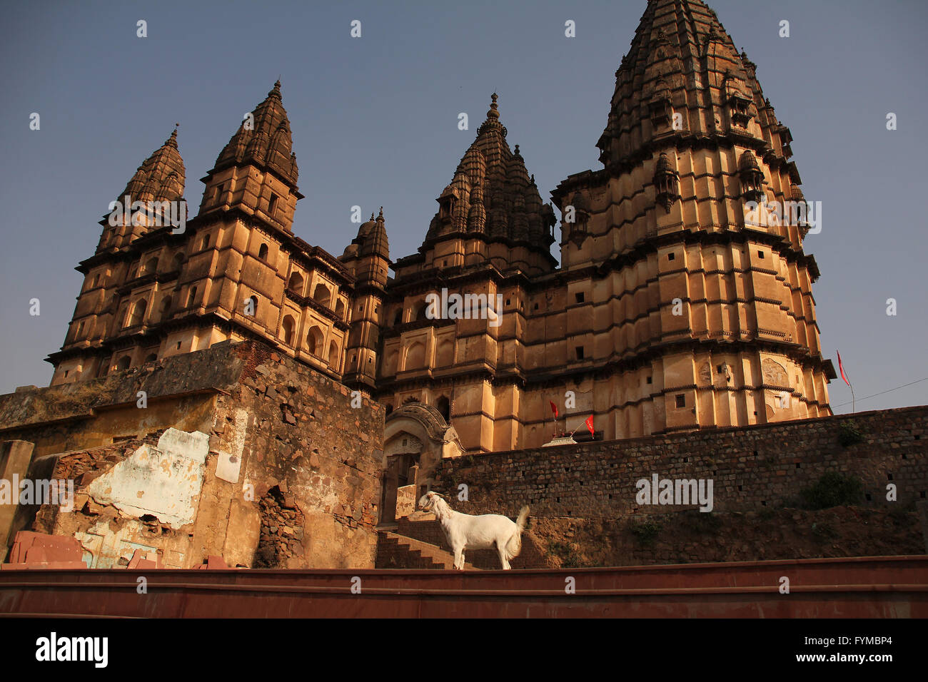 Orcha india temple hi-res stock photography and images - Alamy