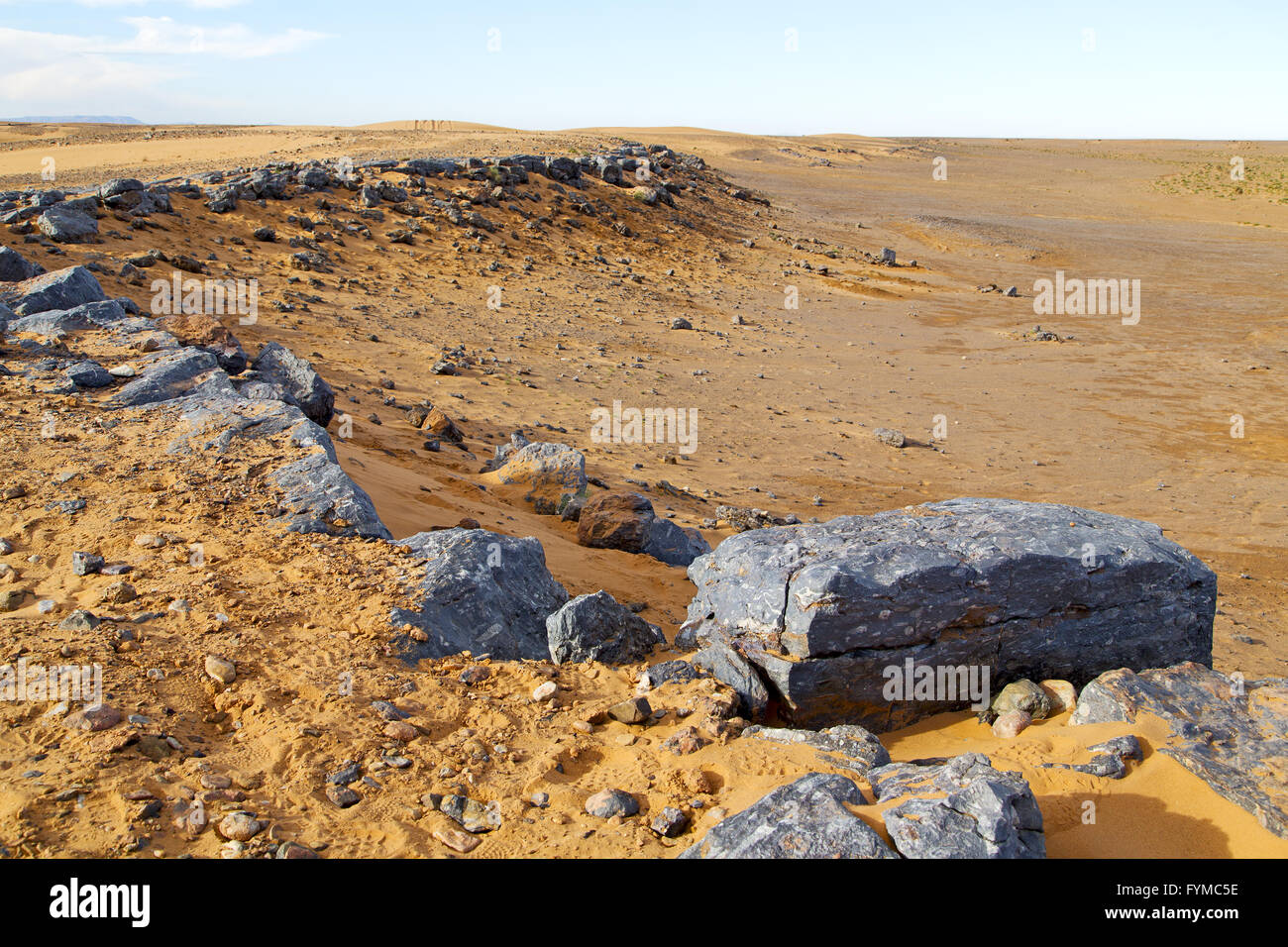 bush old fossil in the desert Stock Photo - Alamy