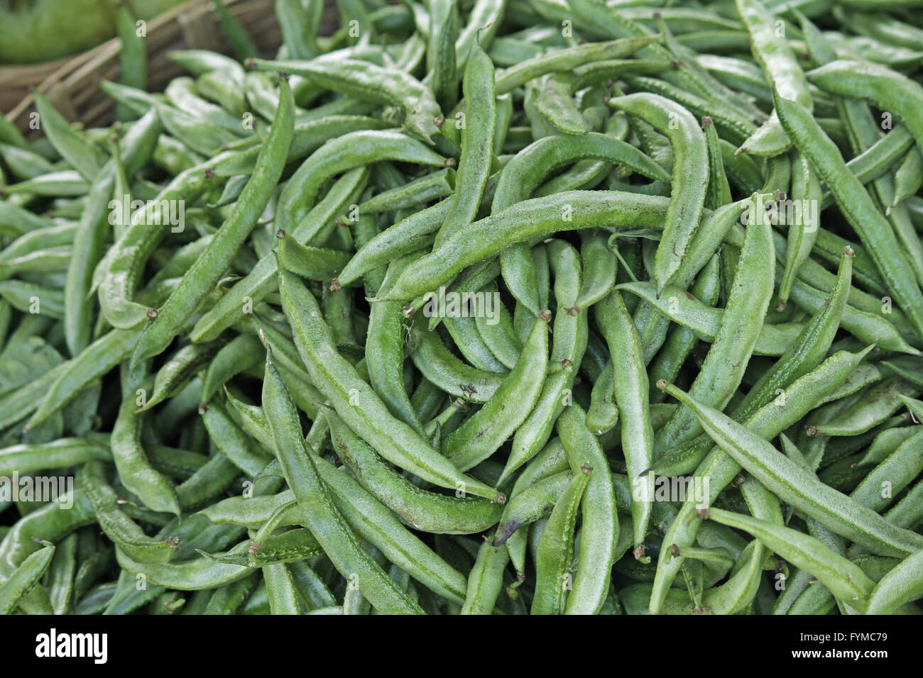 Lablab hi-res stock photography and images - Alamy