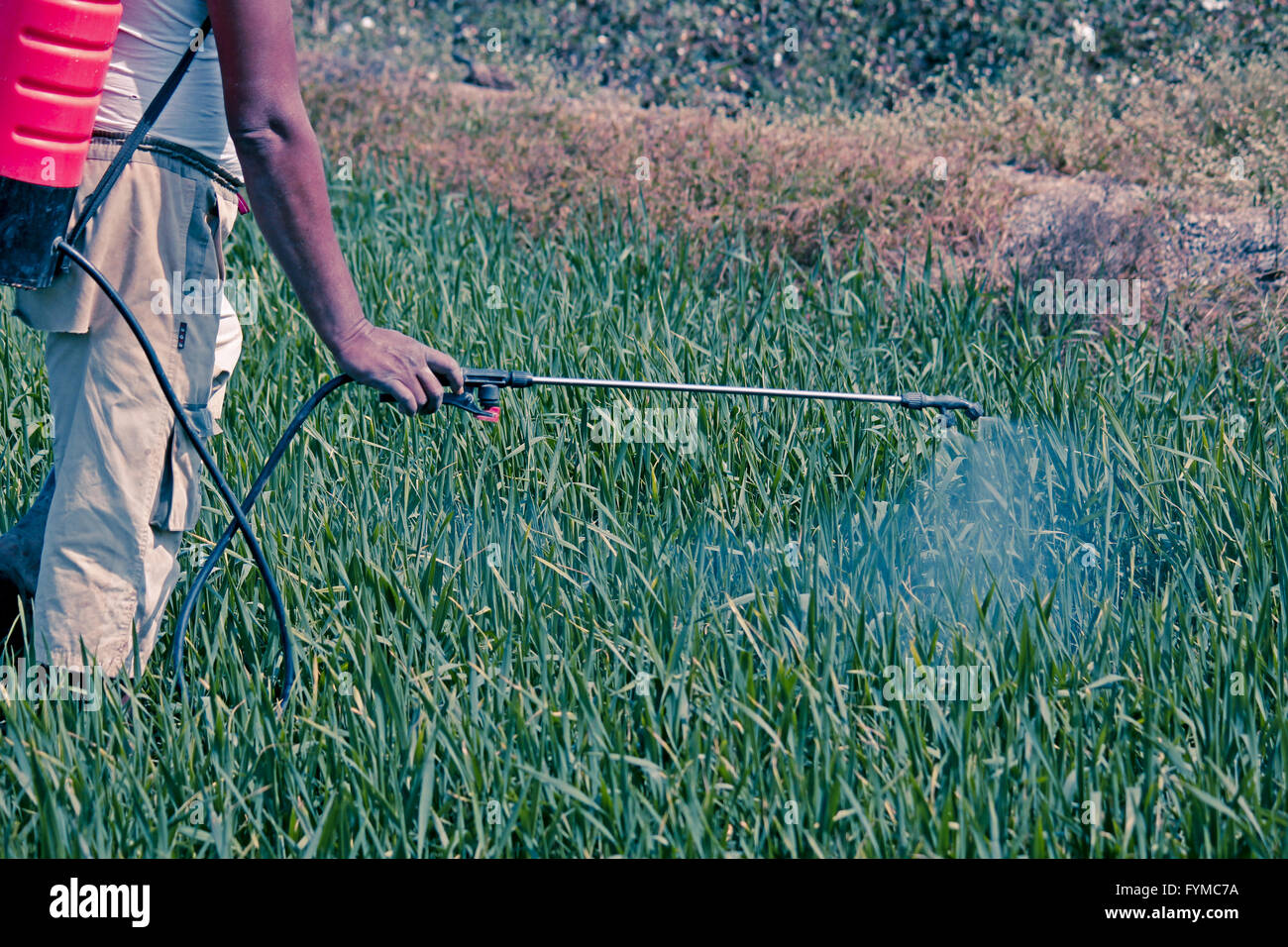 Farmer with fertilizer hi-res stock photography and images - Alamy